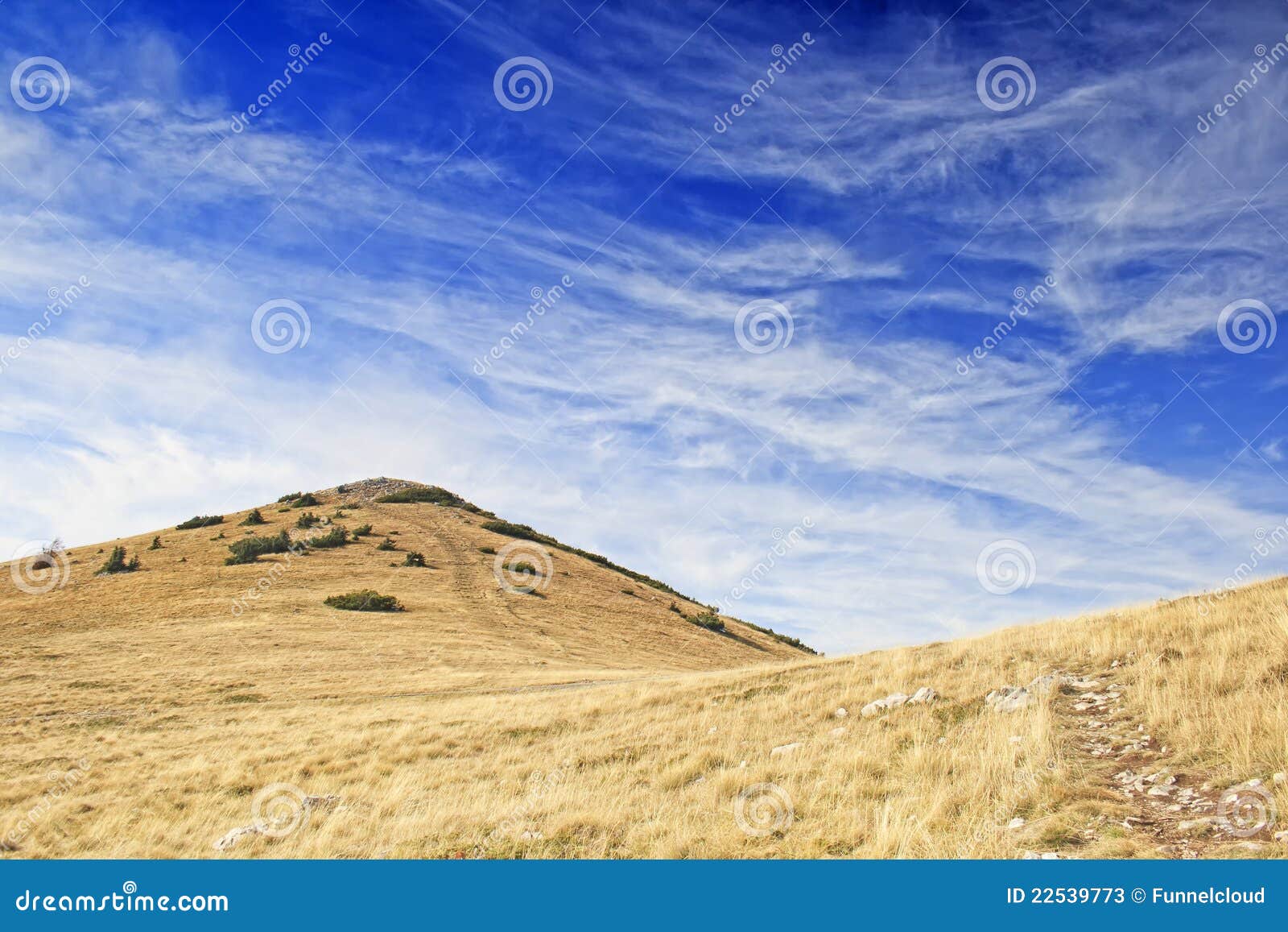 Beautiful Grassland in the Mountains Stock Image - Image of beautiful ...