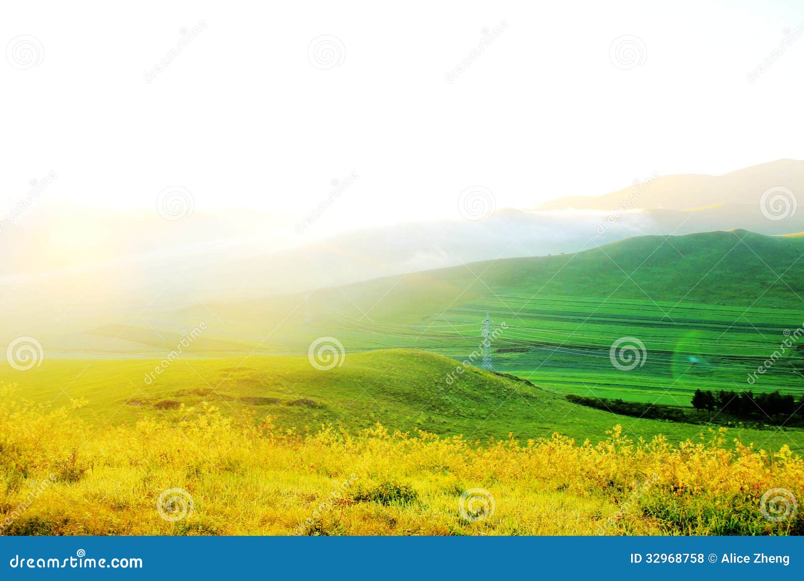 The Beautiful Grassland(23) Stock Photo - Image of vast, grassland ...