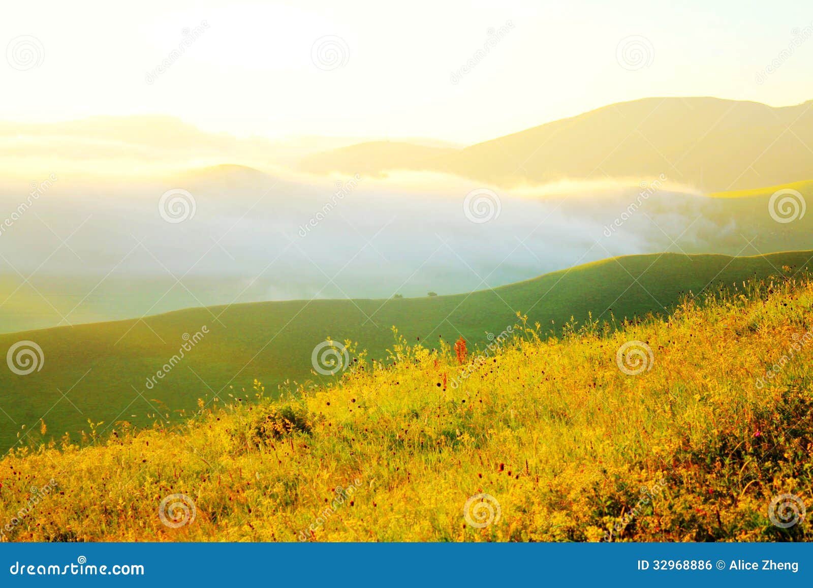 The Beautiful Grassland(26) Stock Photo - Image of beautiful, green ...