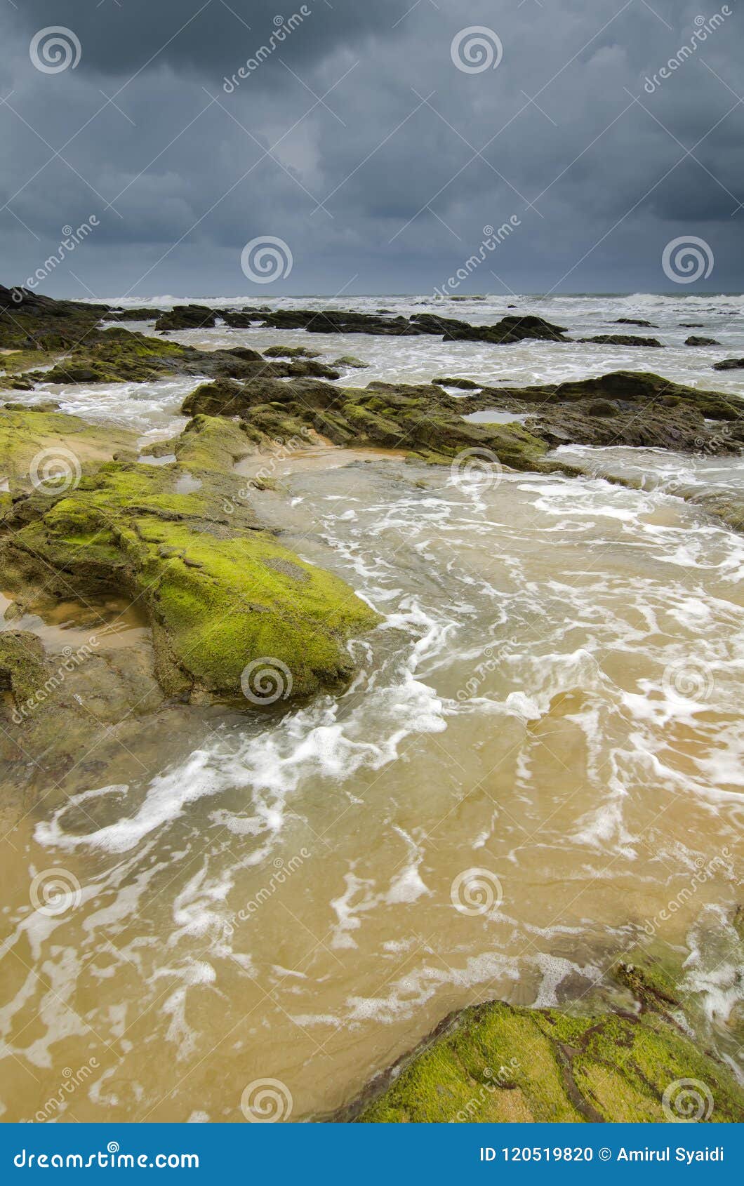 Beautiful Green Algae on the Stone at the Beach during Low Tide Water ...