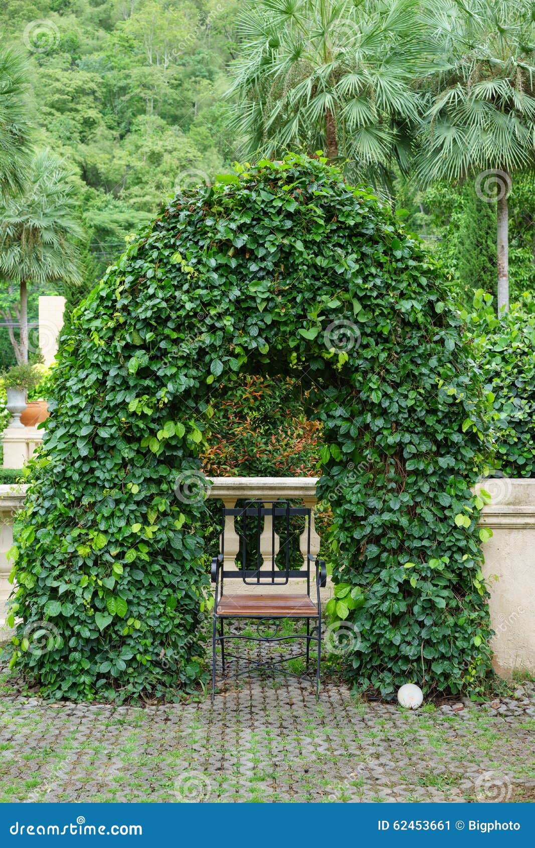 Beautiful Green Arch with Decorative Tree at the Hotel. Stock Image ...