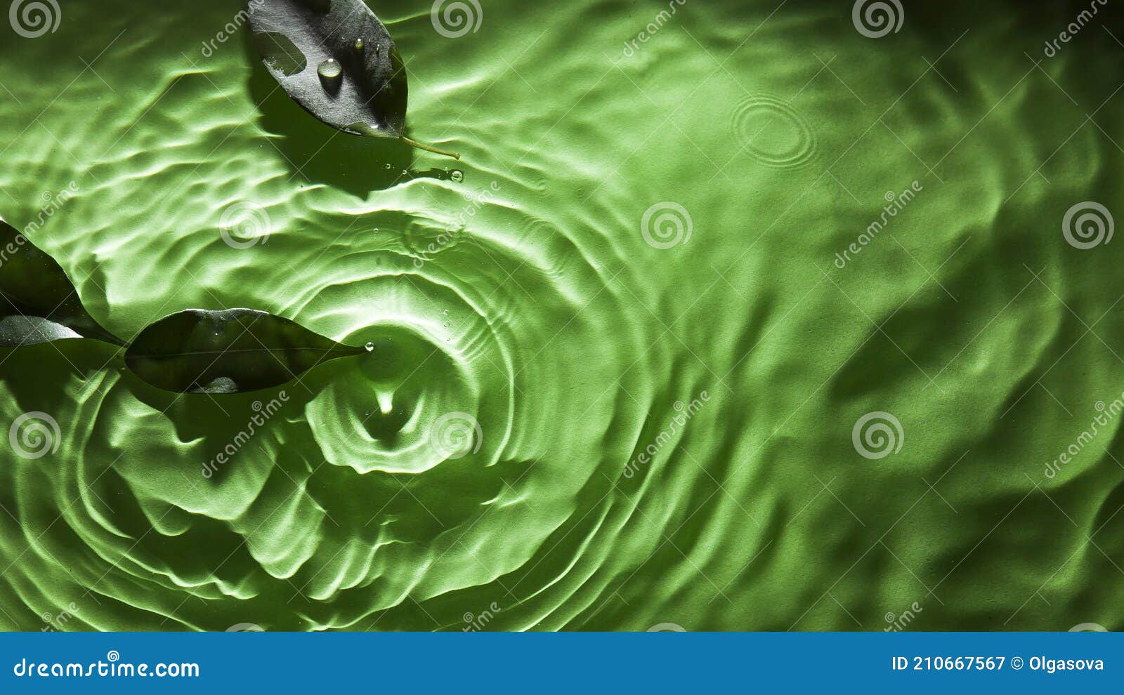 Beautiful Green Background, Light Refraction in Water, Stock Image ...
