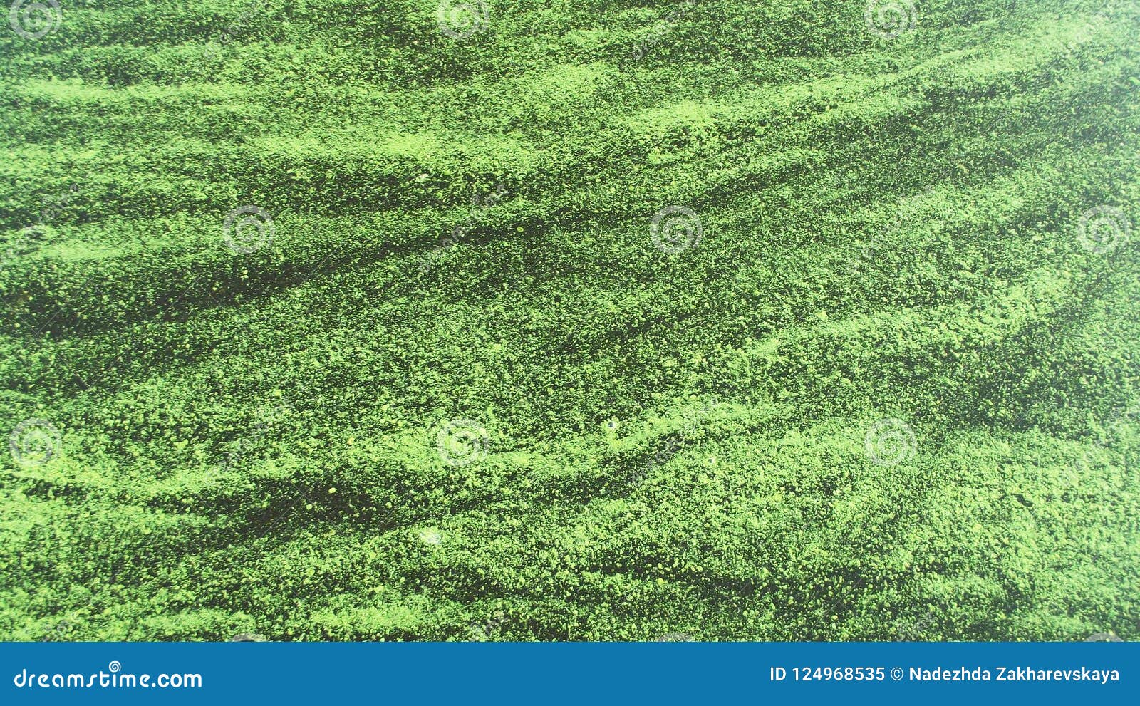 Green abstract background. stock image. Image of color - 124968535