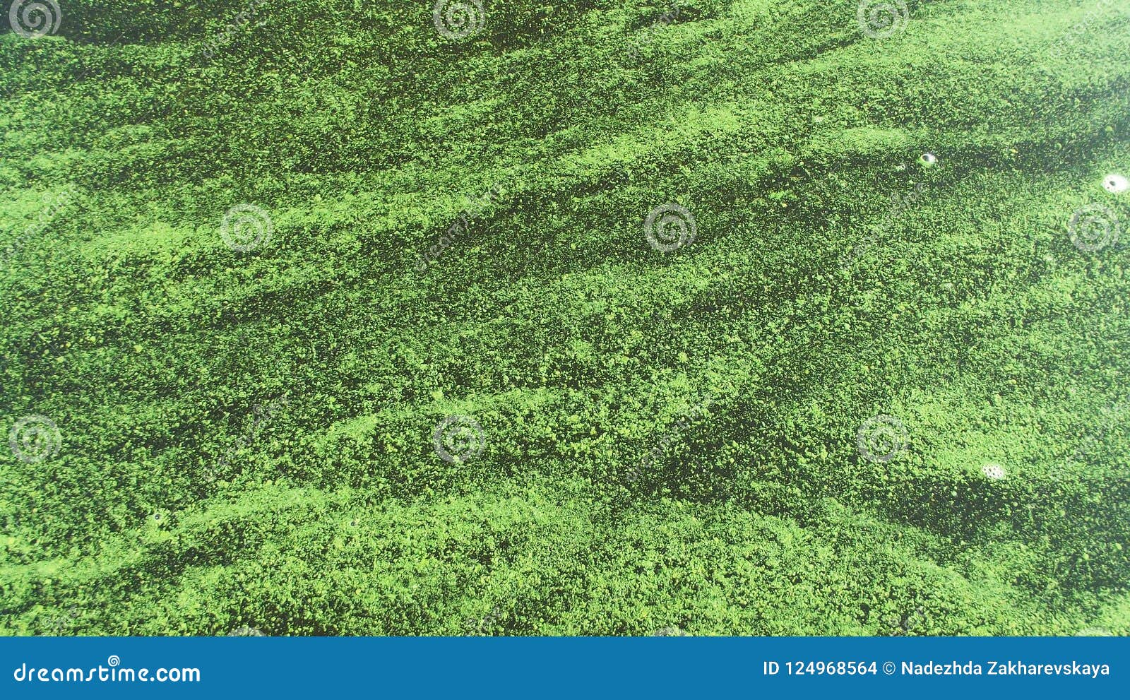 Green abstract background. stock photo. Image of close - 124968564