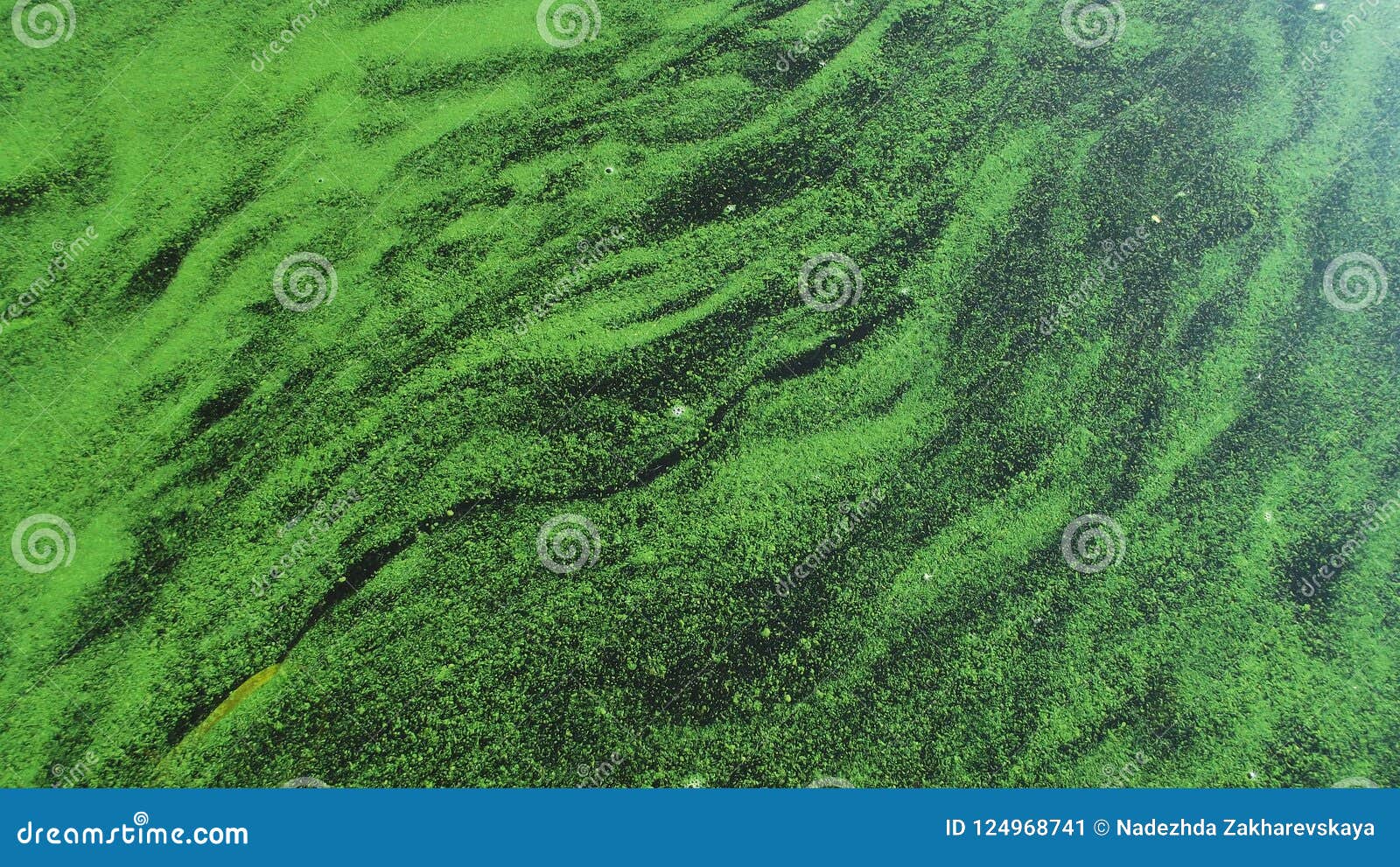 Green abstract background. stock image. Image of light - 124968741