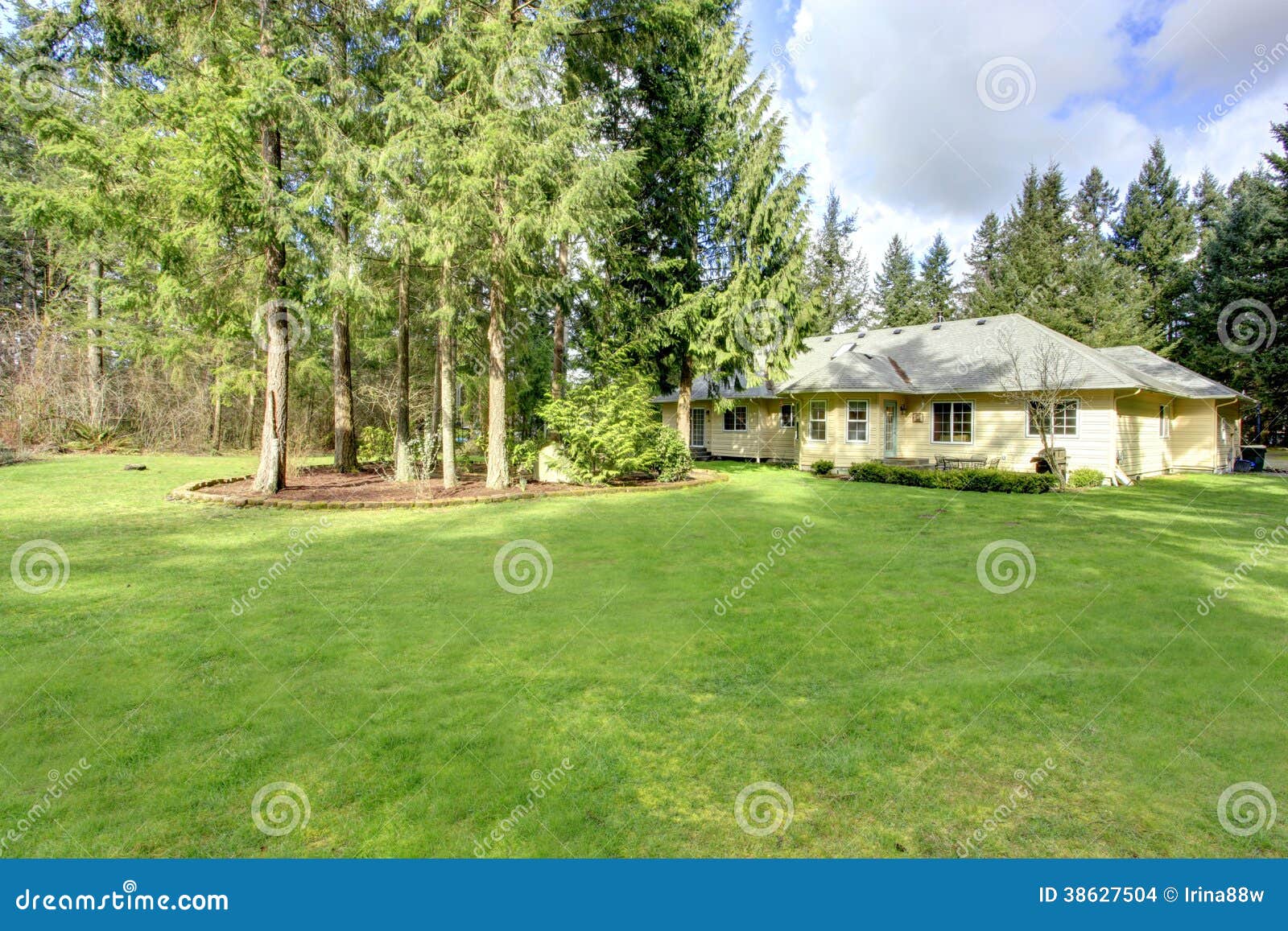 Beautiful green backyard stock photo. Image of landscaping - 38627504