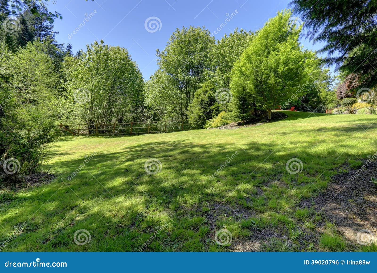Beautiful green backyard stock photo. Image of northwest - 39020796