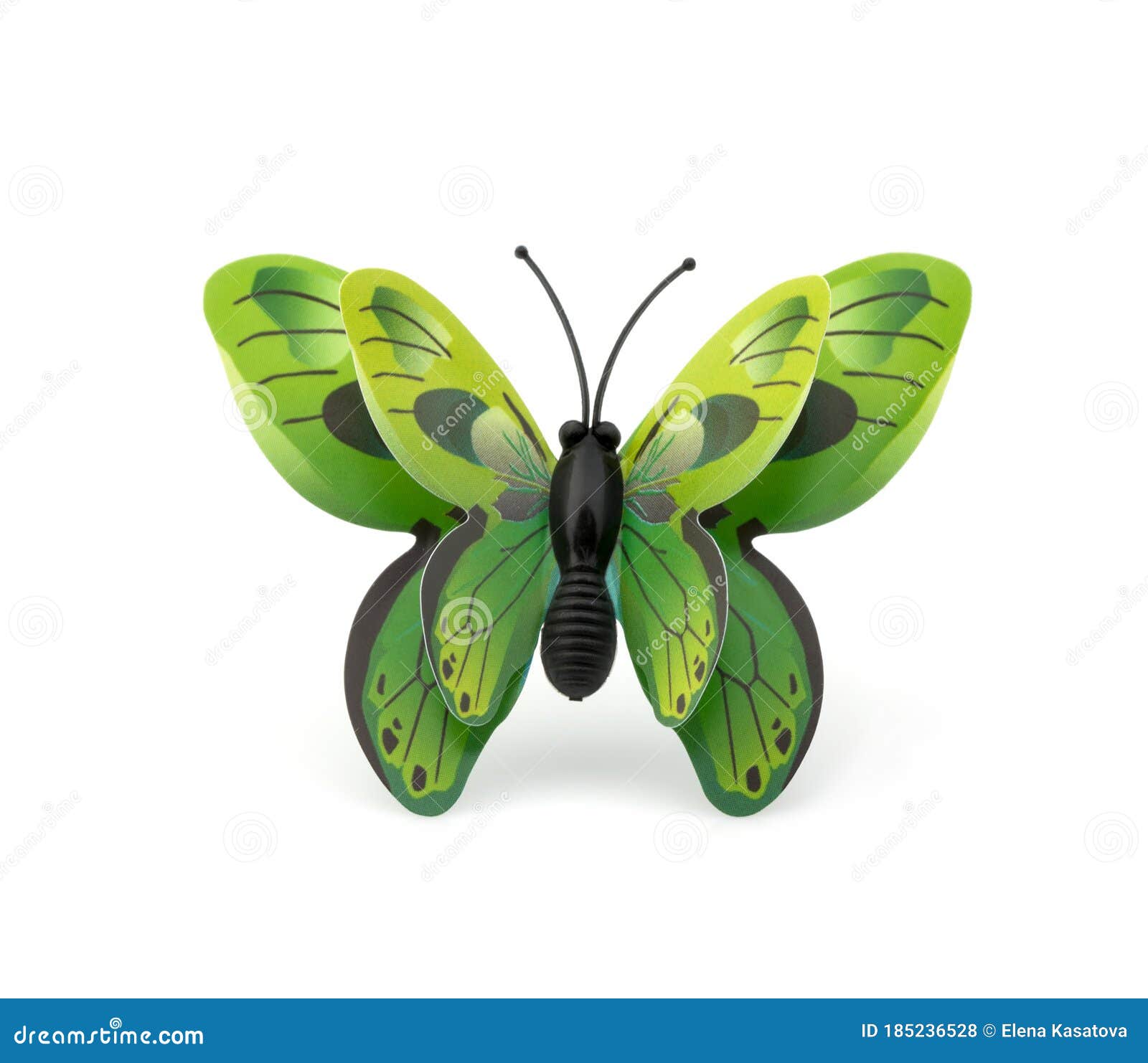 Beautiful Green Butterfly on a White Background Stock Photo - Image of ...