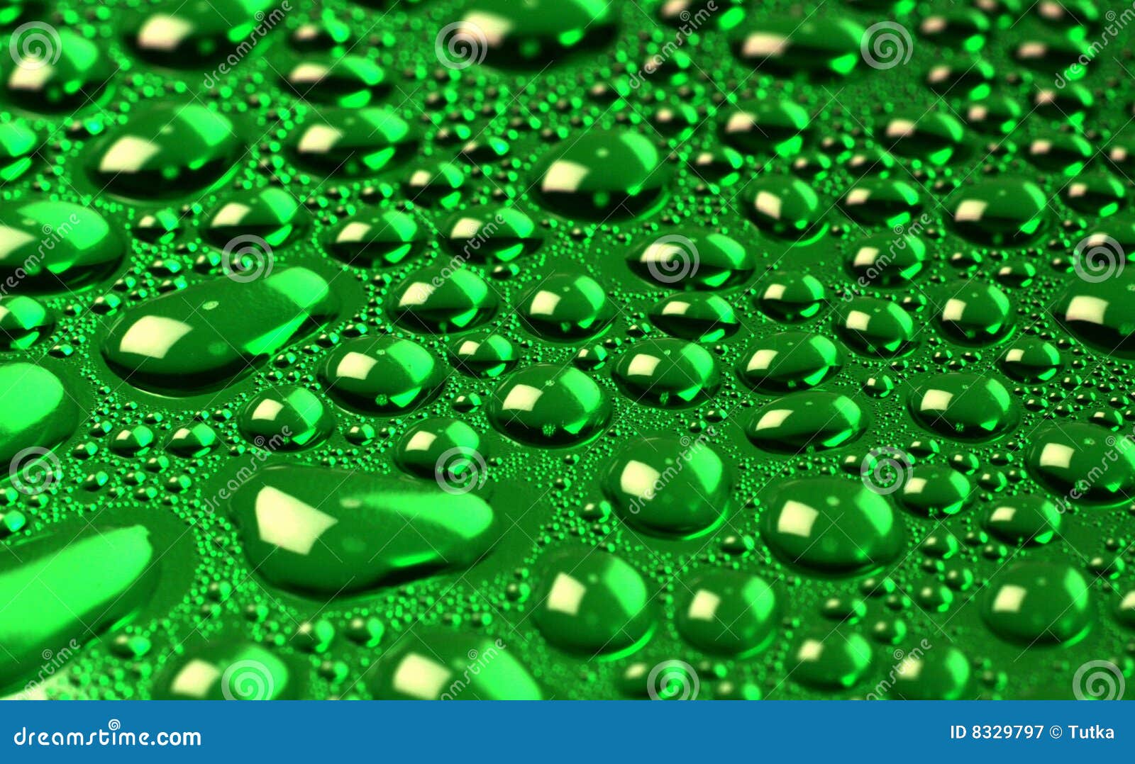 Beautiful Green Drops of Water Stock Image - Image of aqua, calm: 8329797