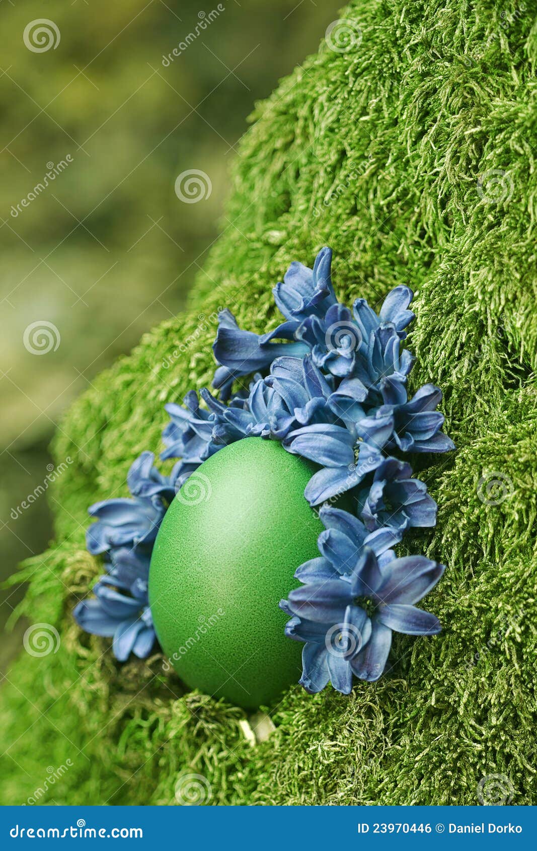 Beautiful green Easter egg stock photo. Image of tradition - 23970446
