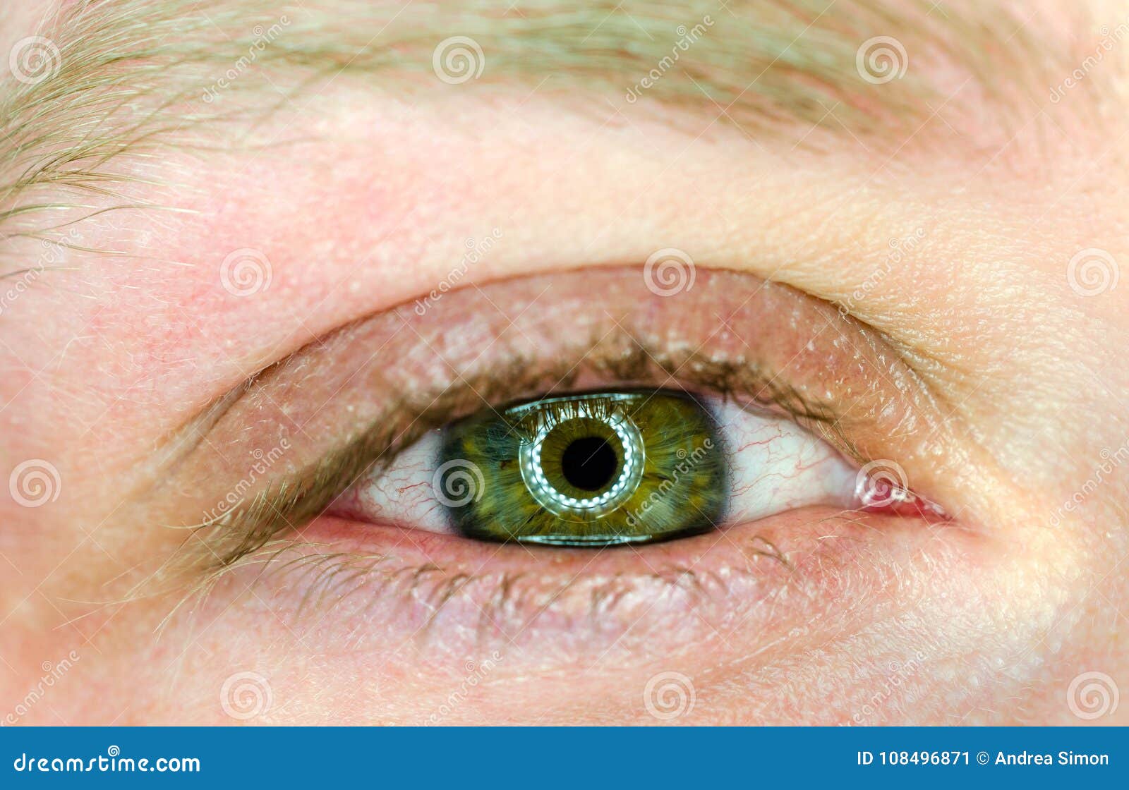 Beautiful green eye macro stock image. Image of looking - 108496871