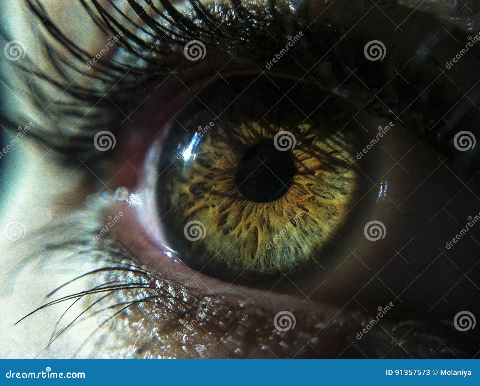 Beautiful green eye macro stock image. Image of closeup - 91357573