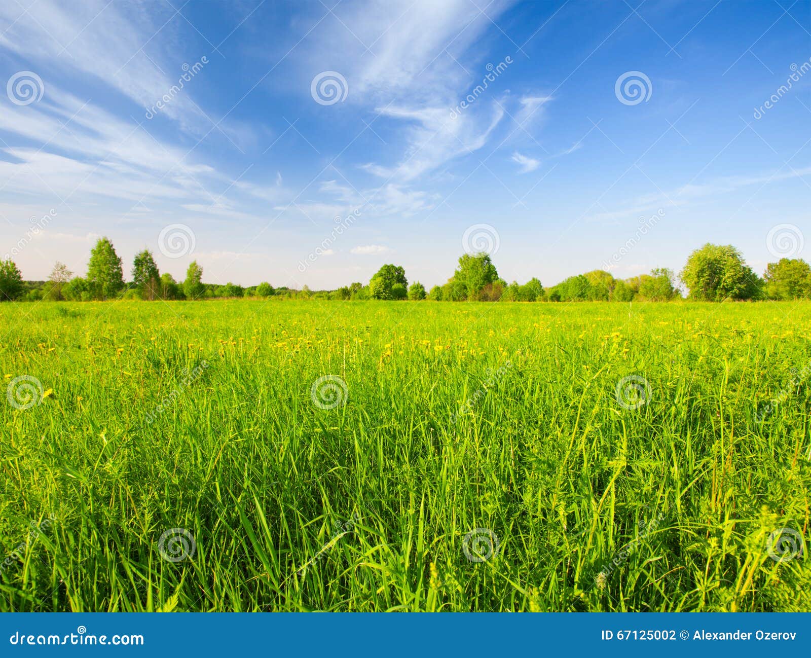 Beautiful green field stock photo. Image of pasture, cloudscape - 67125002