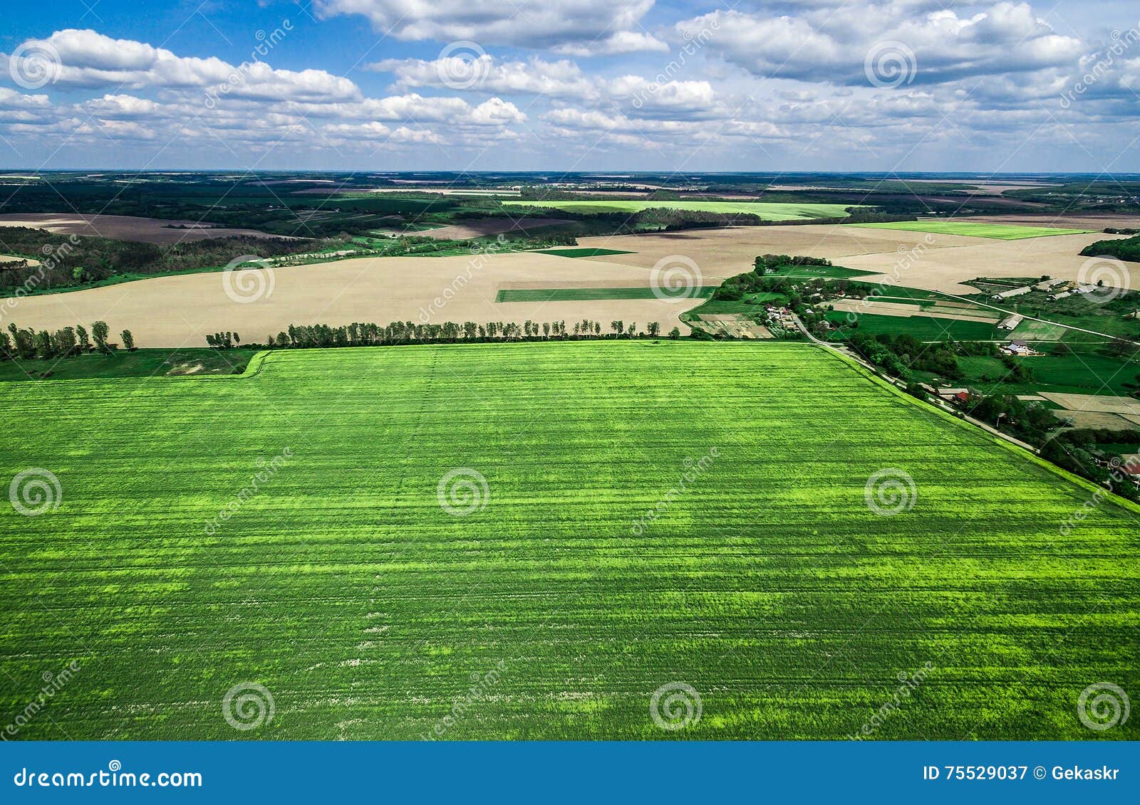 Beautiful Green Field with Village Stock Image - Image of nature, house ...