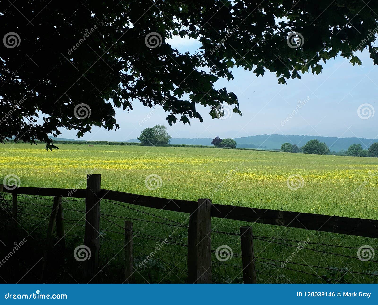 Green Pastures stock photo. Image of beautiful, grass - 120038146