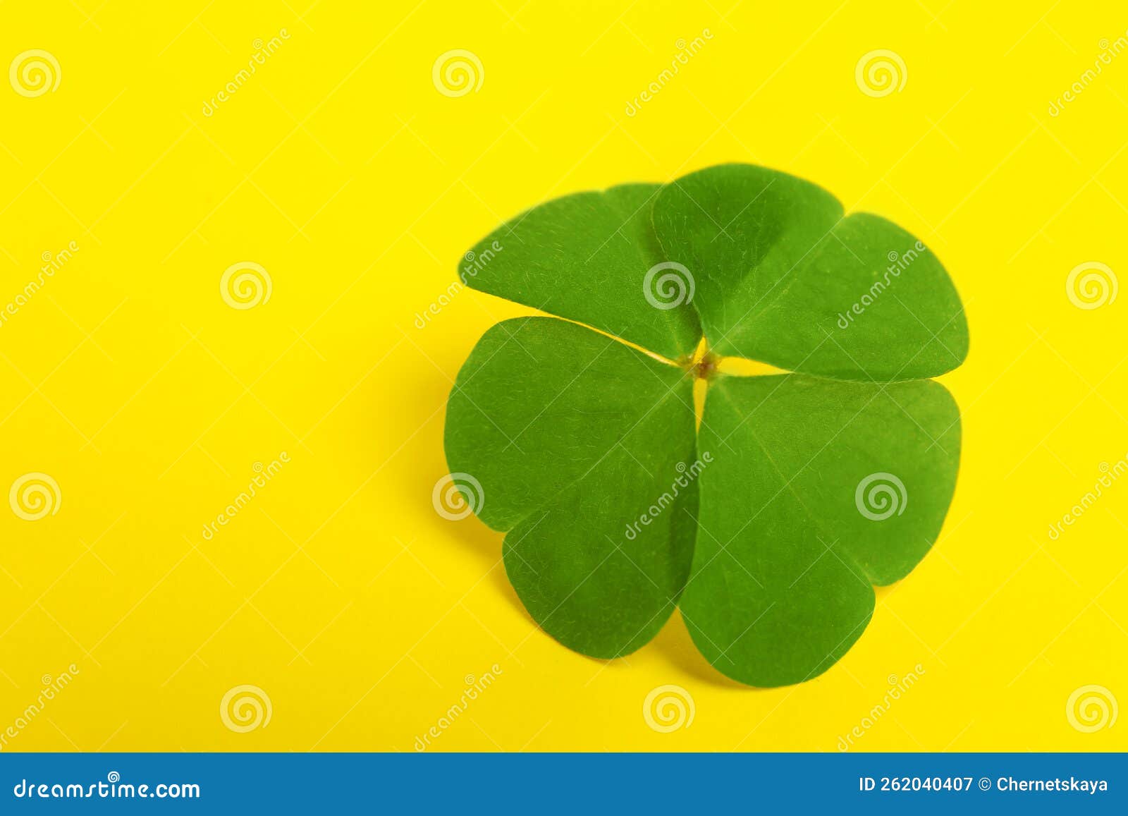 Beautiful Green Four Leaf Clover on Yellow Background, Closeup. Space ...