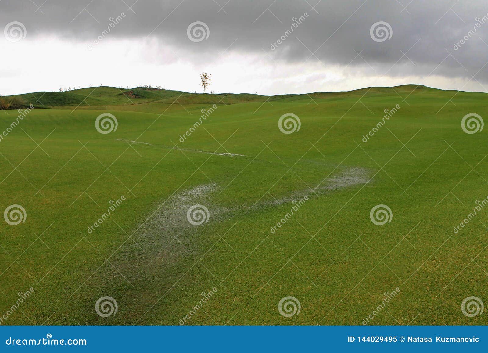 Golf course after rain stock image. Image of court, grass - 144029495