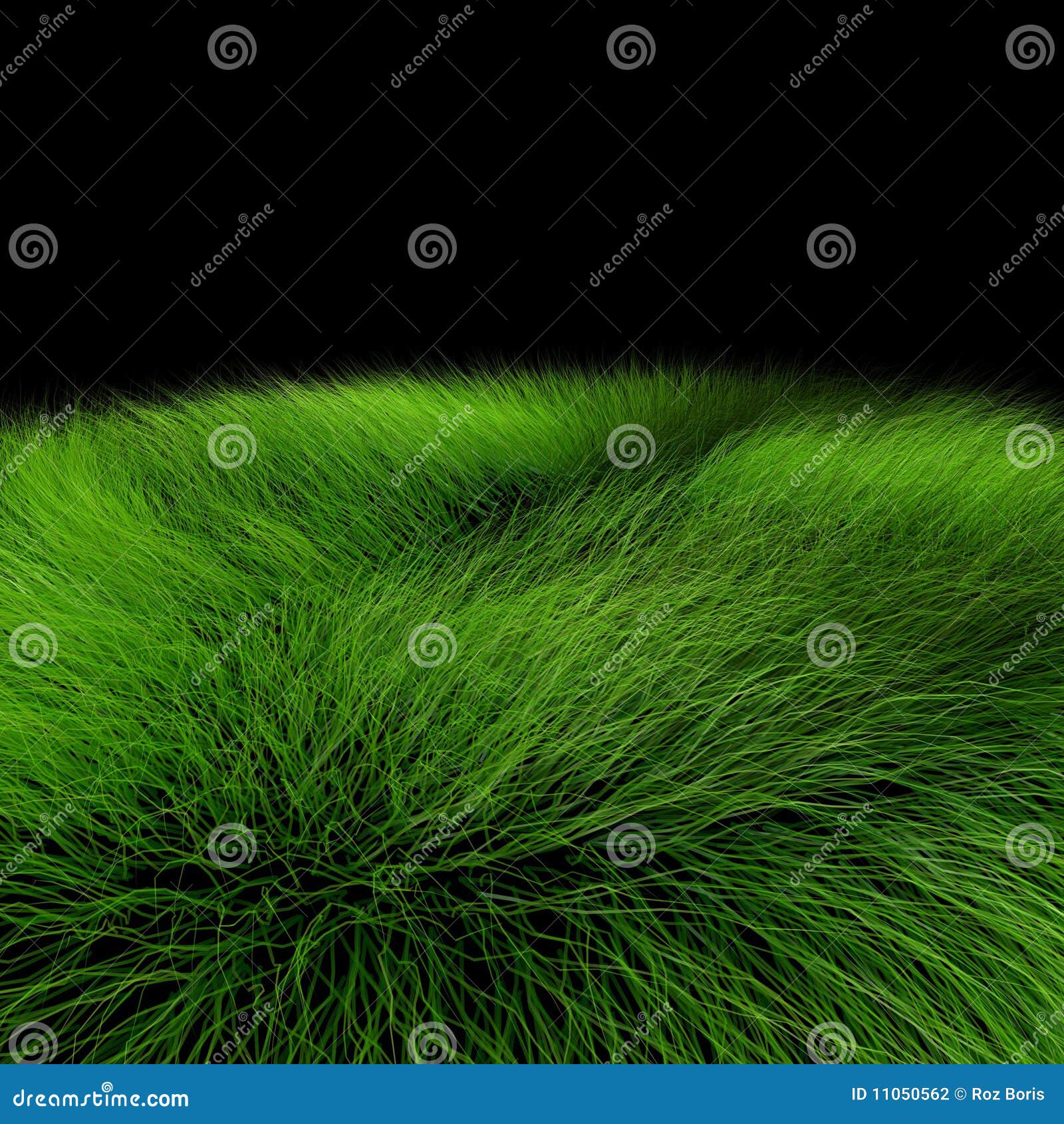 Beautiful green grass stock photo. Image of isolated - 11050562