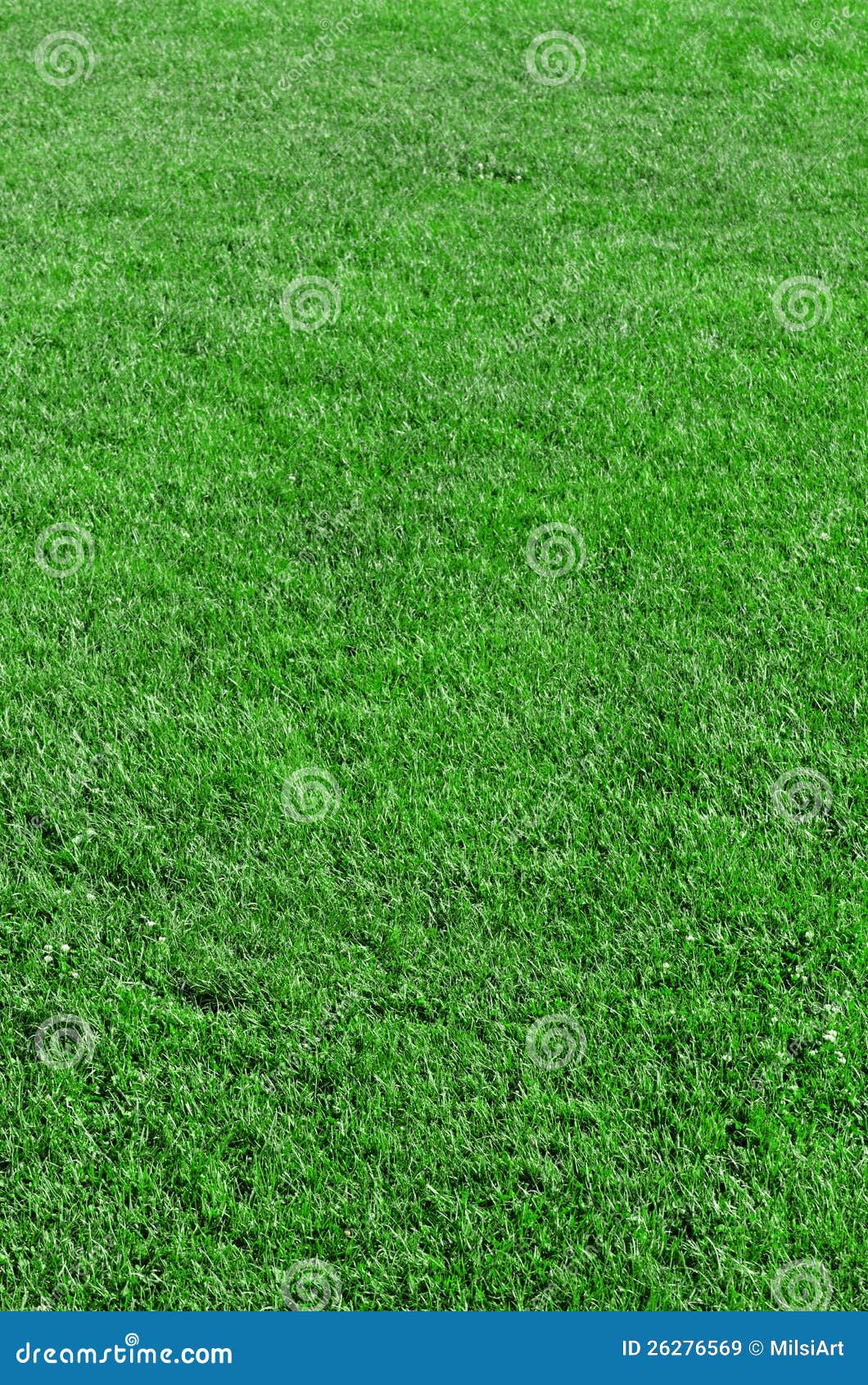 Beautiful green grass stock image. Image of environmental - 26276569