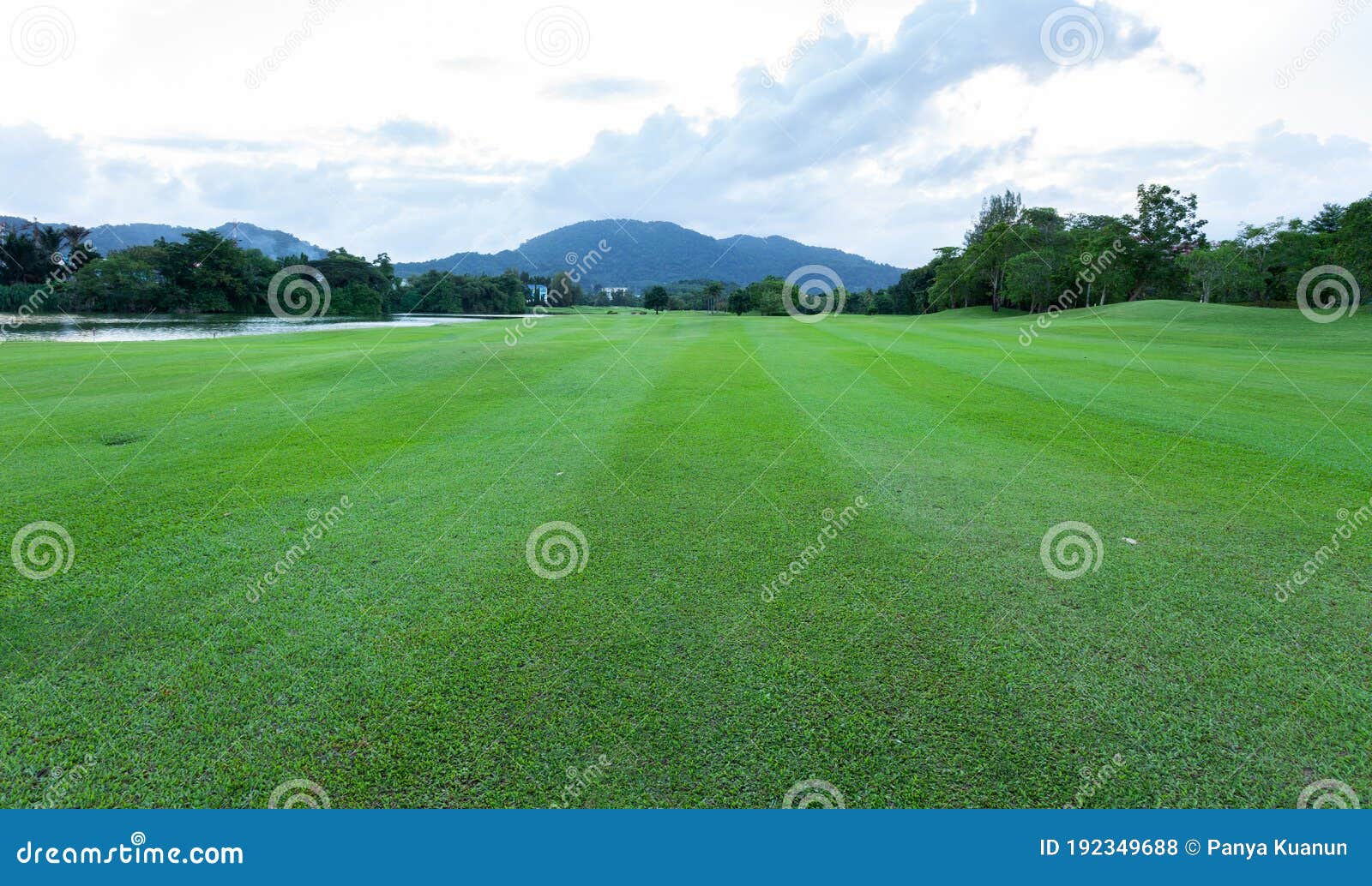 Beautiful Green Grass Field of Golf Course Stock Photo - Image of ...