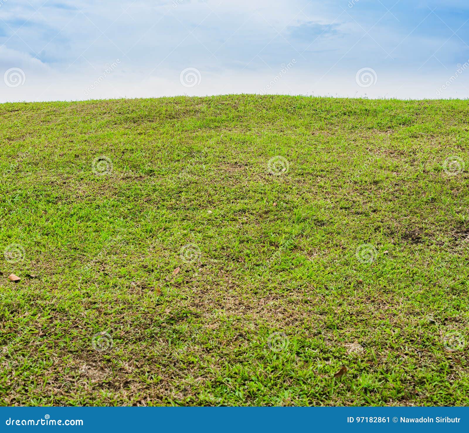 Grass Hill Royalty-Free Stock Photo | CartoonDealer.com #14208495