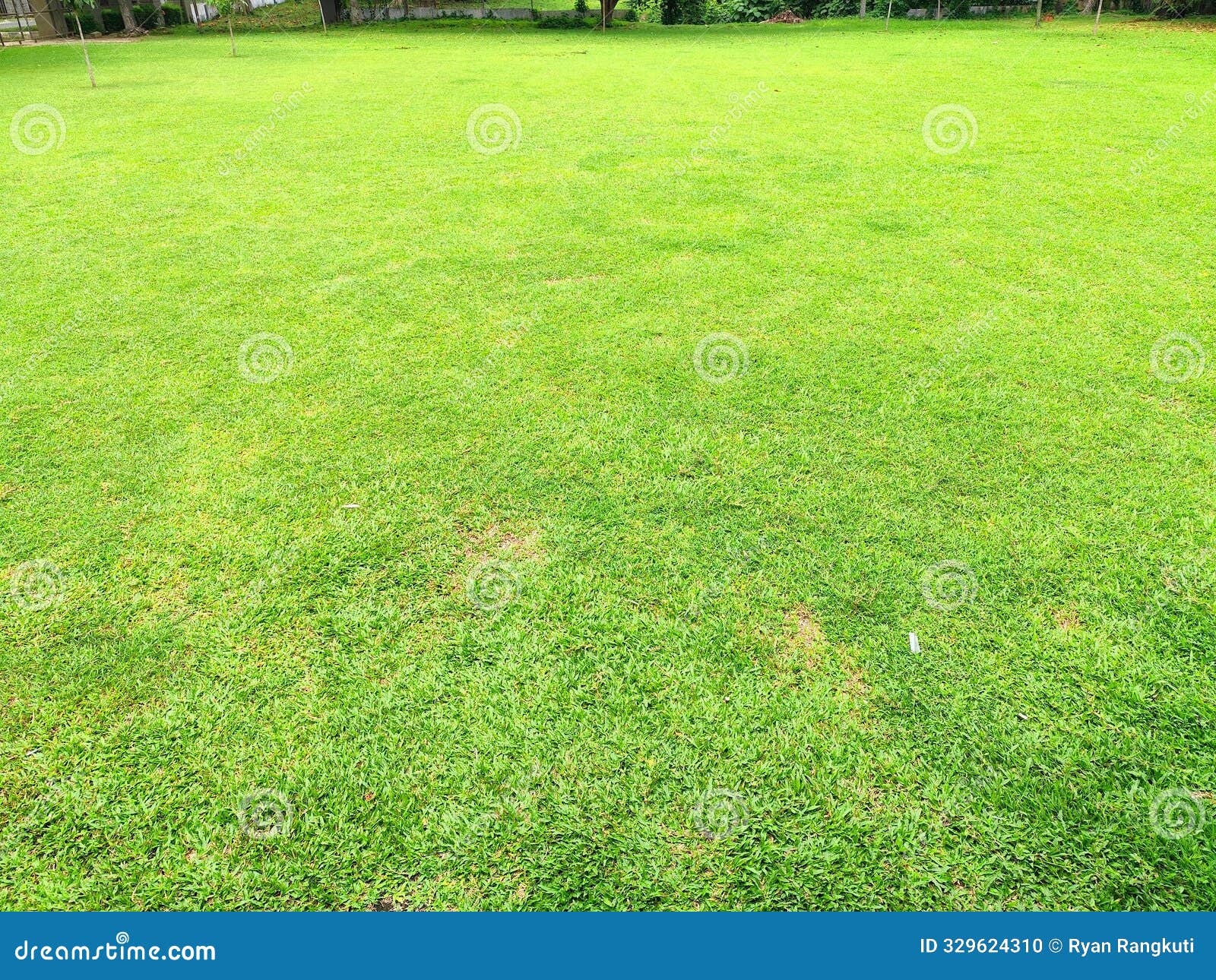 Beautiful Green Grass Field and Surrounded by Trees Makes it Cool Stock ...
