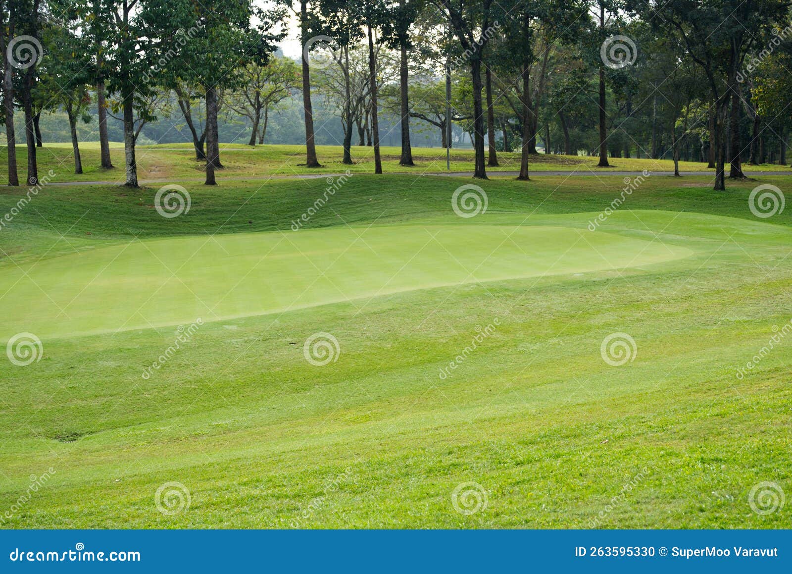 Beautiful Green Grass Golf Course Stock Photo - Image of club, game ...