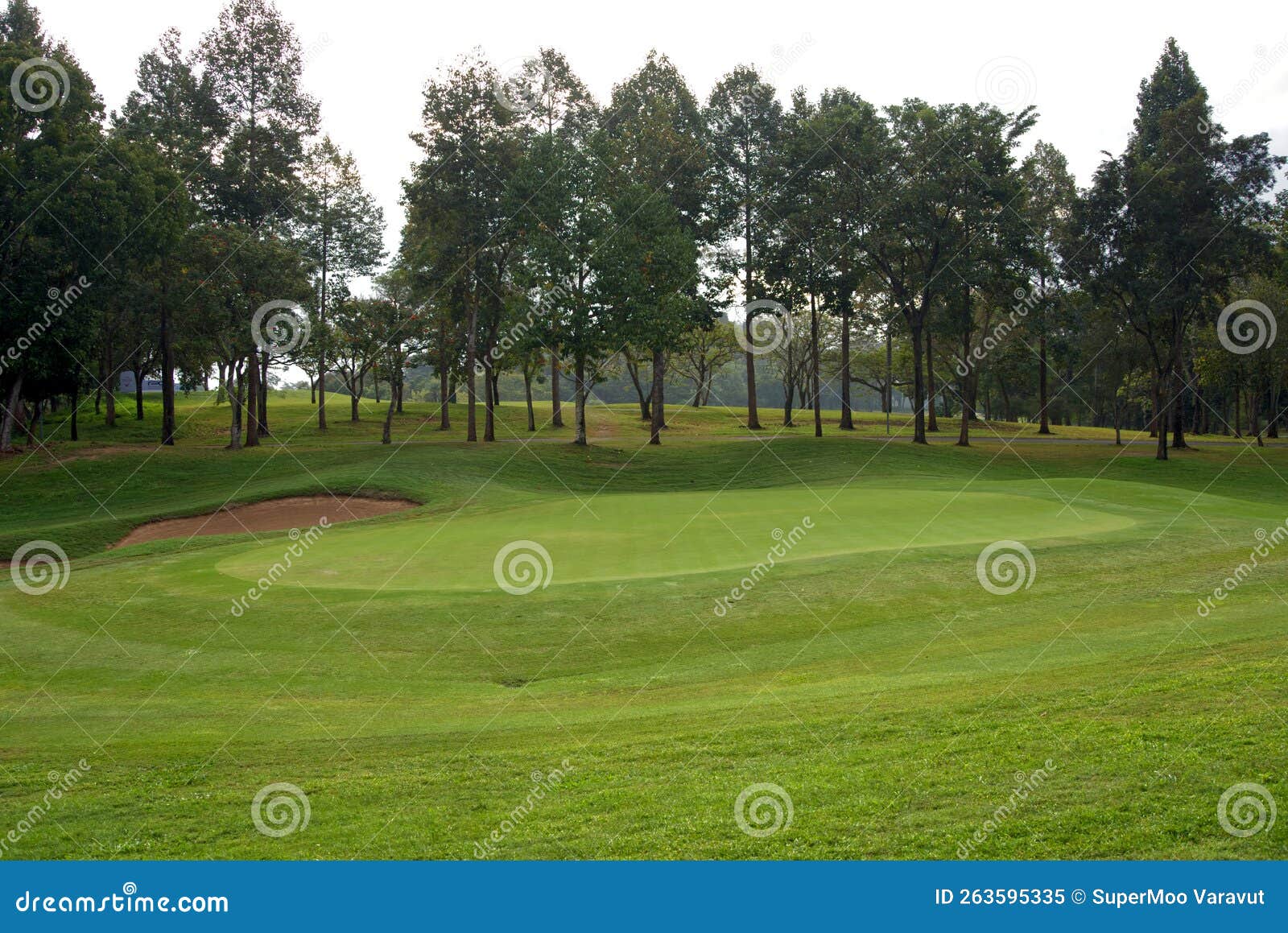 Beautiful Green Grass Golf Course Stock Image - Image of lawn, sunny ...