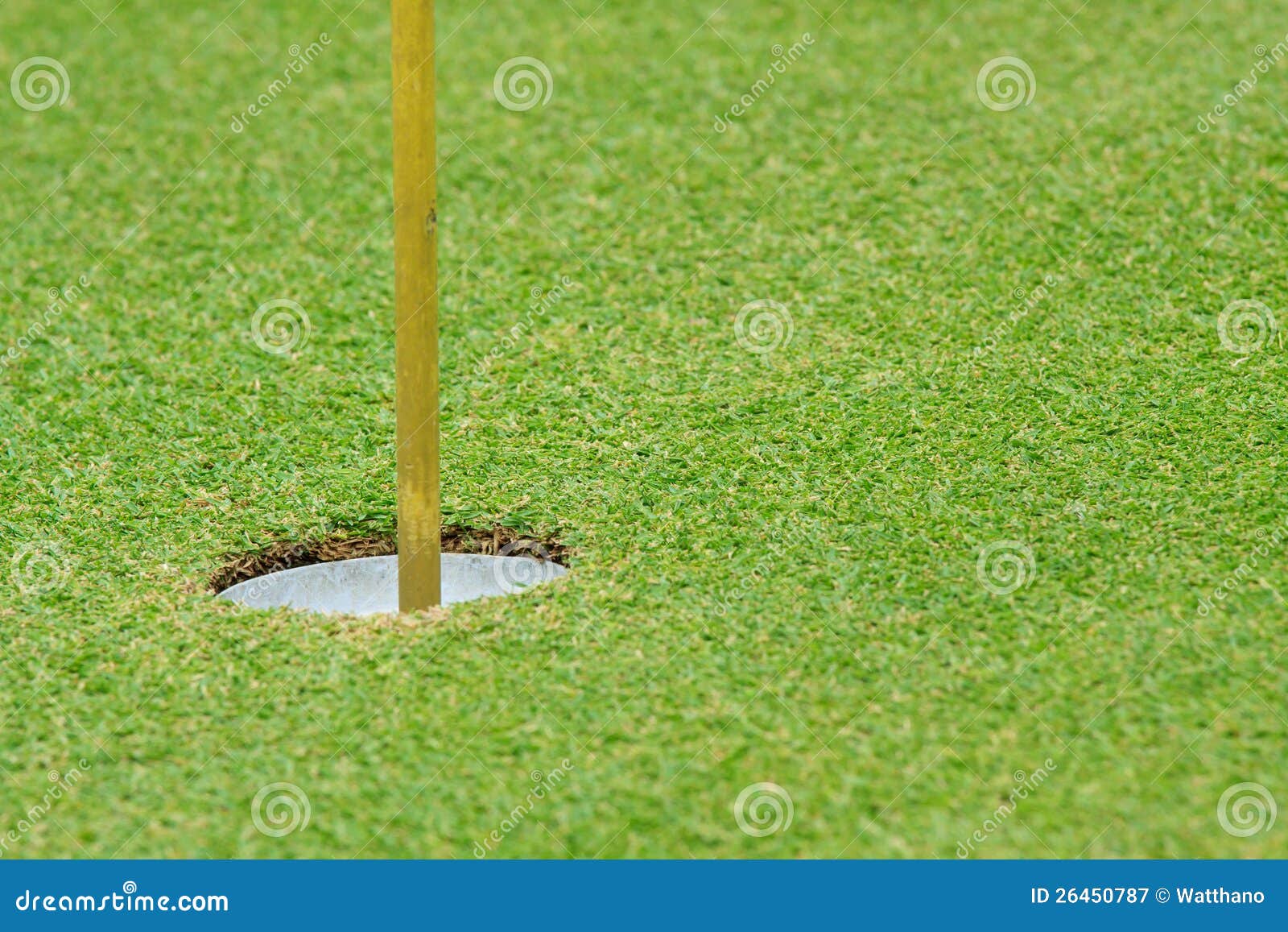 Beautiful Green Grass Pattern of Golf Course Stock Image - Image of ...