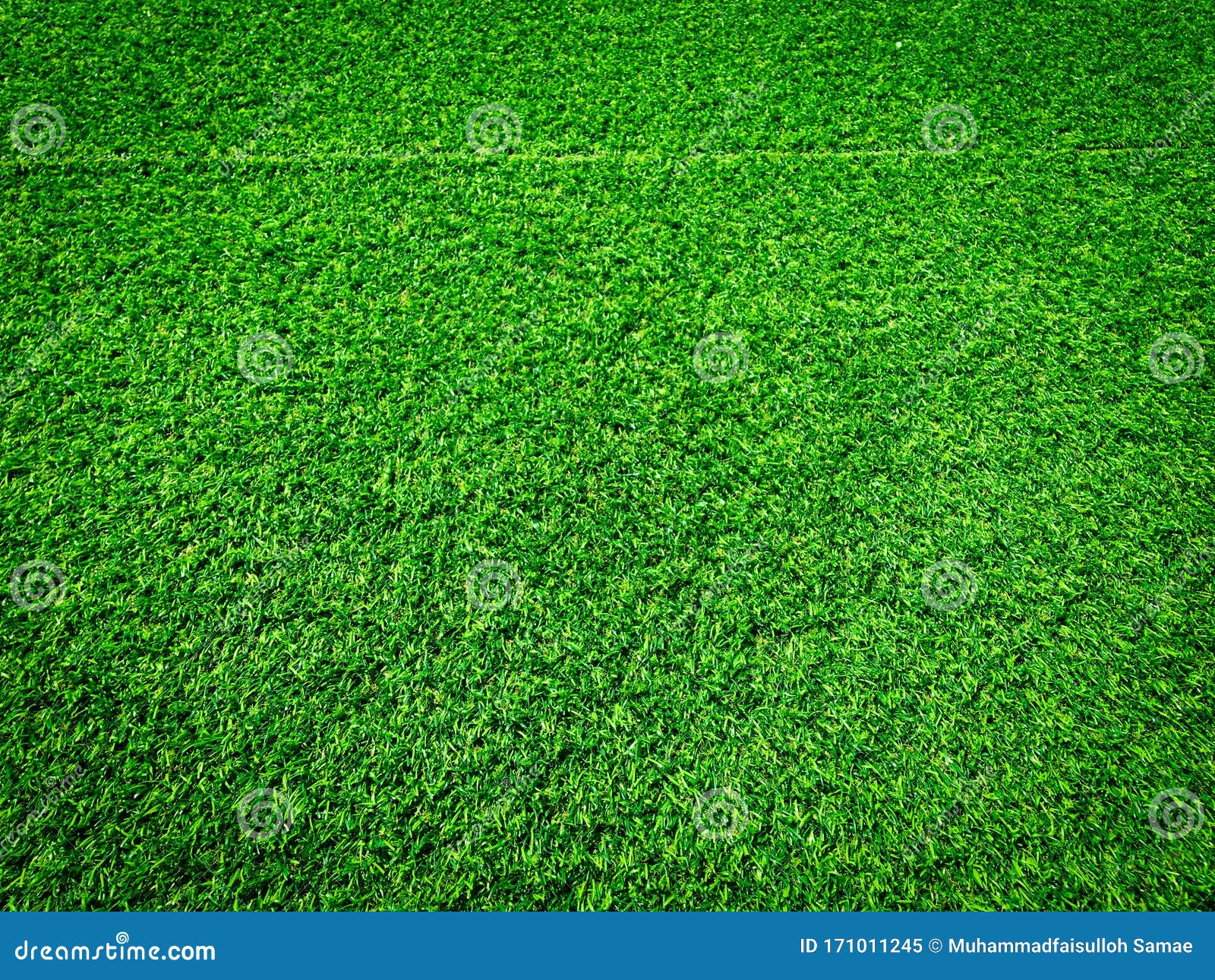 Beautiful Green Grass Pattern from Golf Course for Background. Copy ...
