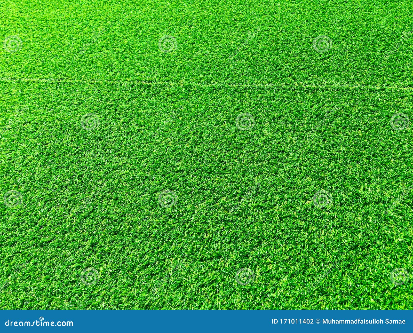 Beautiful Green Grass Pattern from Golf Course for Background. Copy ...