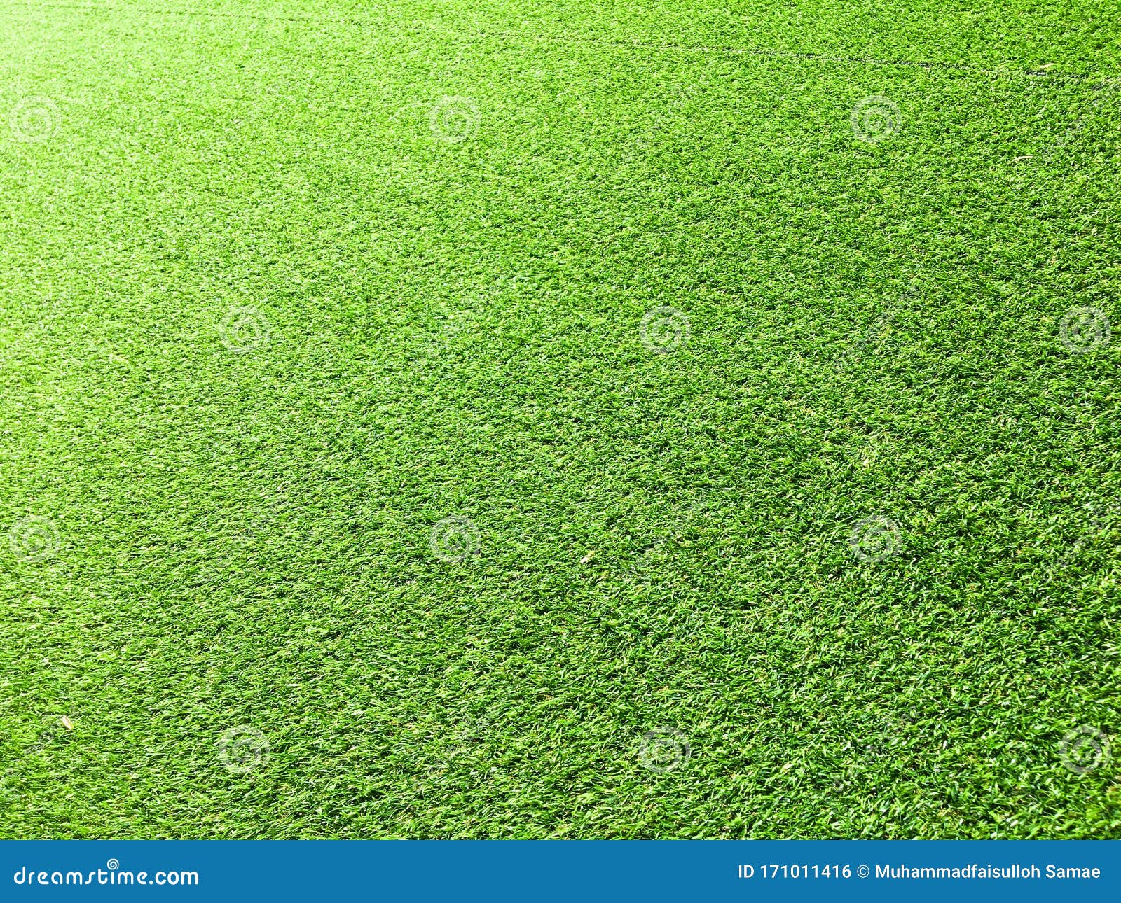 Beautiful Green Grass Pattern from Golf Course for Background. Copy ...