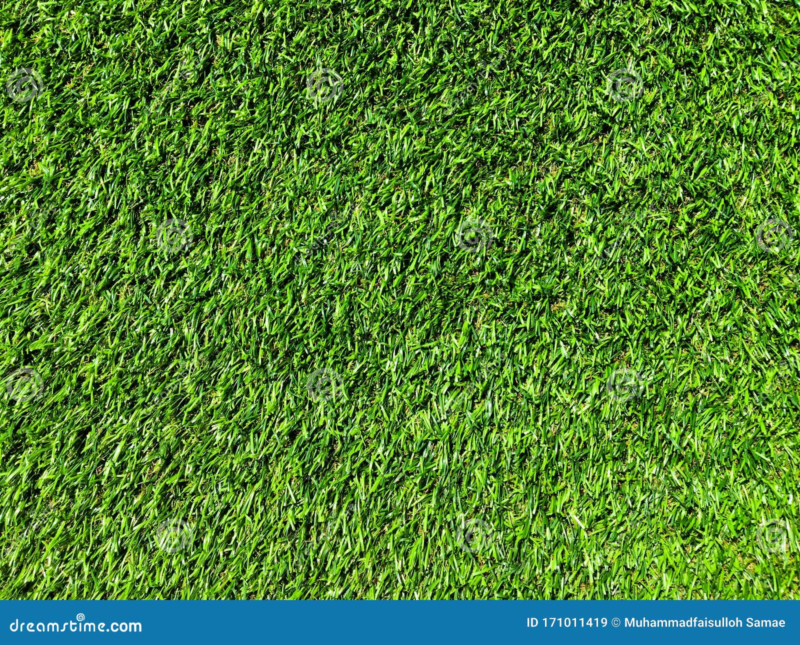 Beautiful Green Grass Pattern from Golf Course for Background. Copy ...