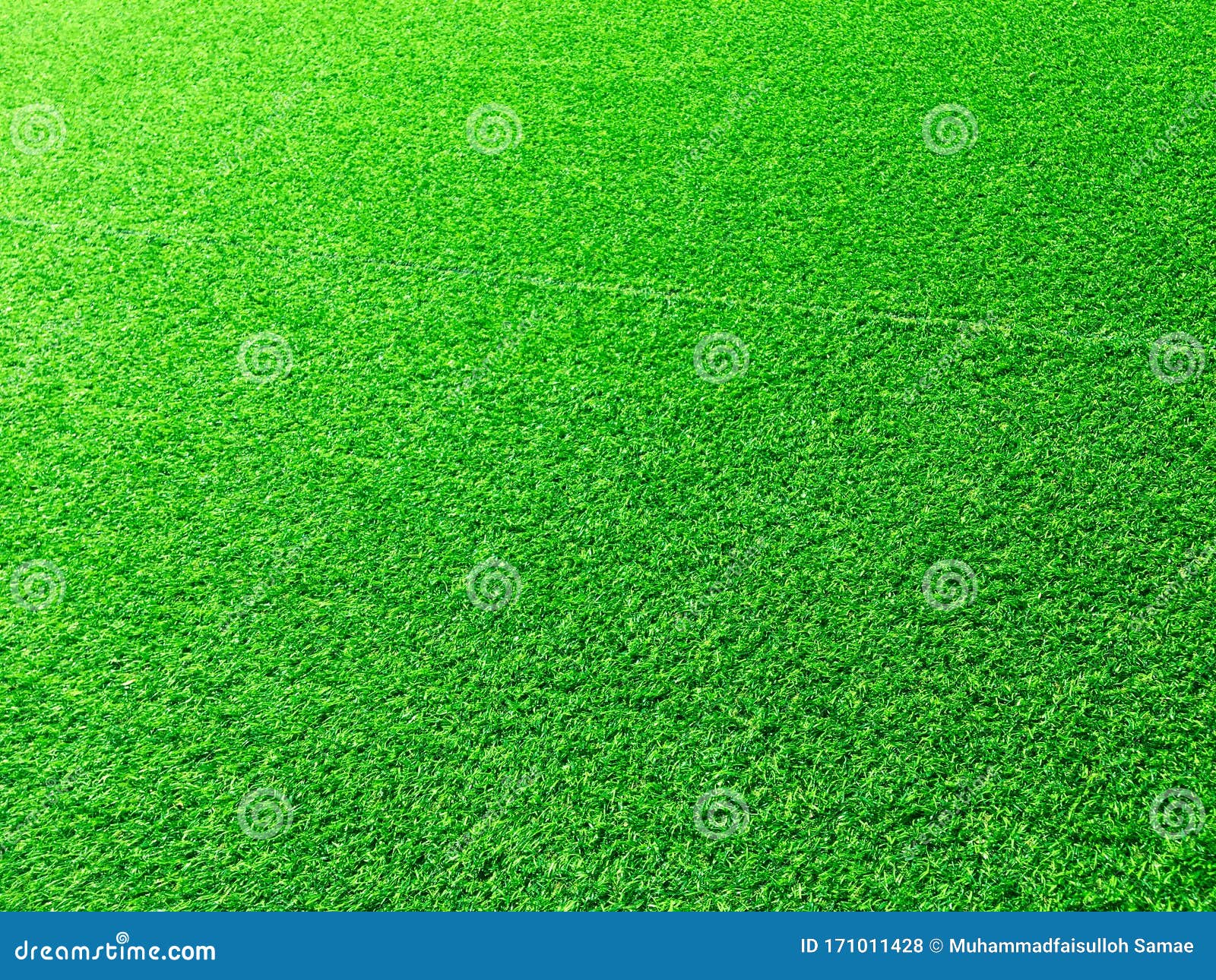 Beautiful Green Grass Pattern from Golf Course for Background. Copy ...