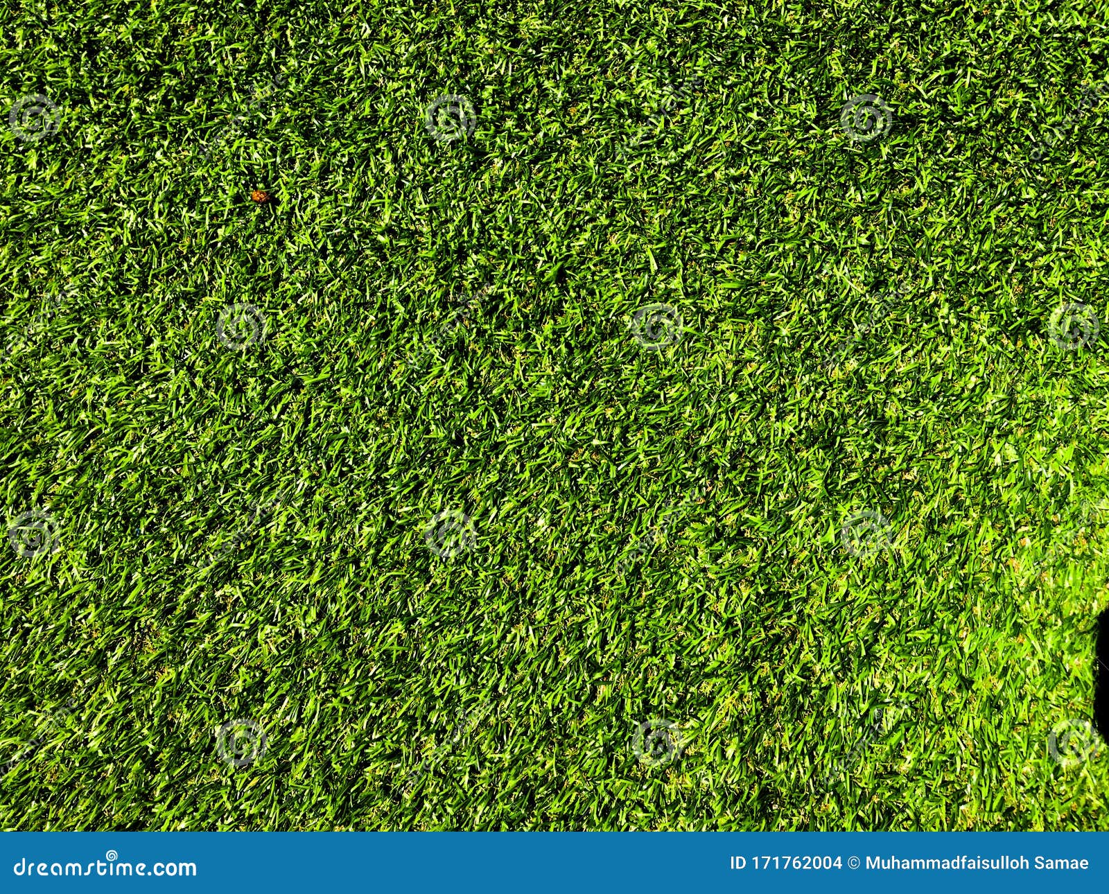 Beautiful Green Grass Pattern from Golf Course for Background. Copy ...