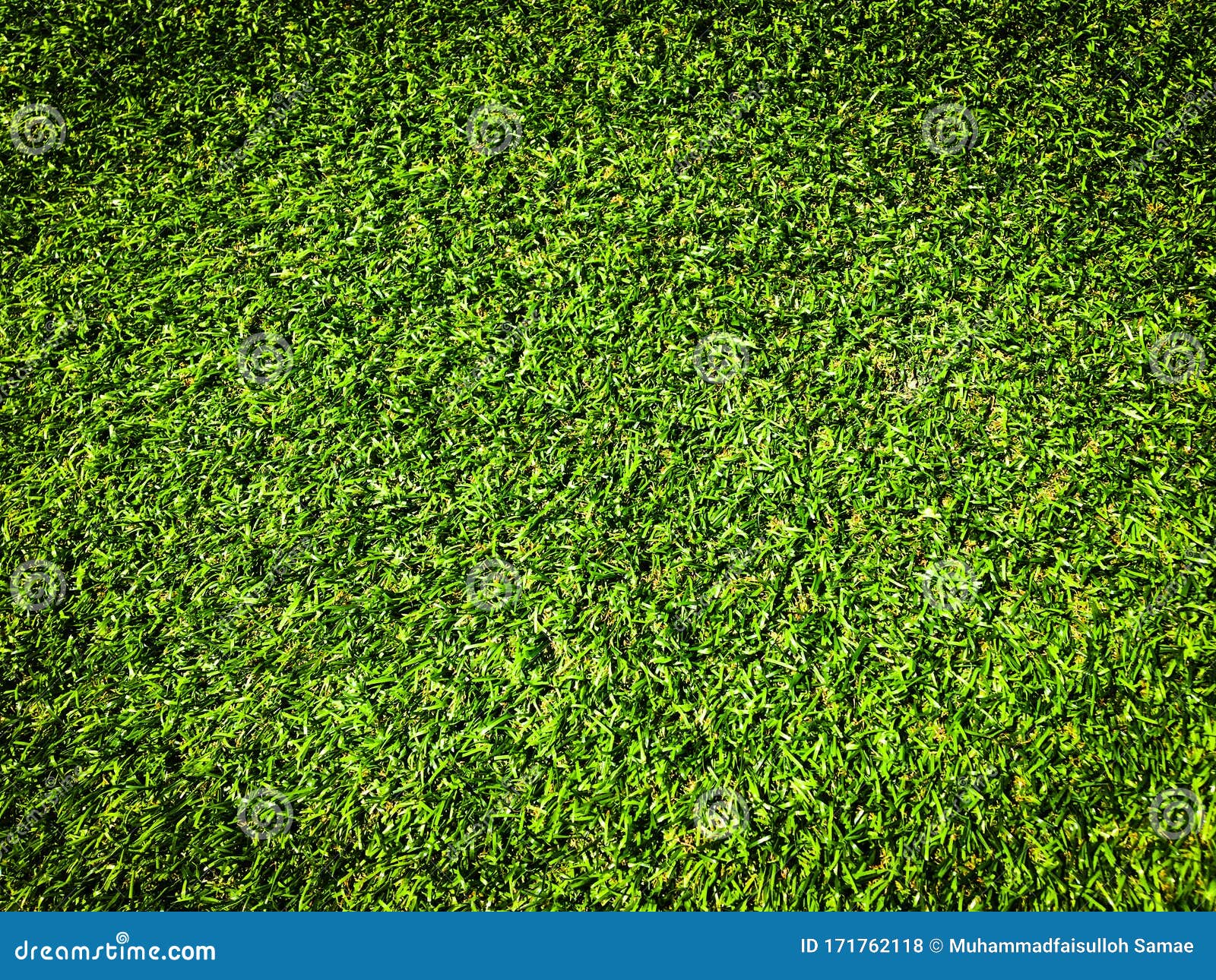 Beautiful Green Grass Pattern from Golf Course for Background. Copy ...