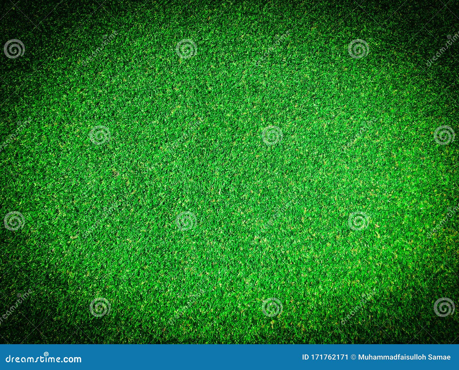 Beautiful Green Grass Pattern from Golf Course for Background. Copy ...