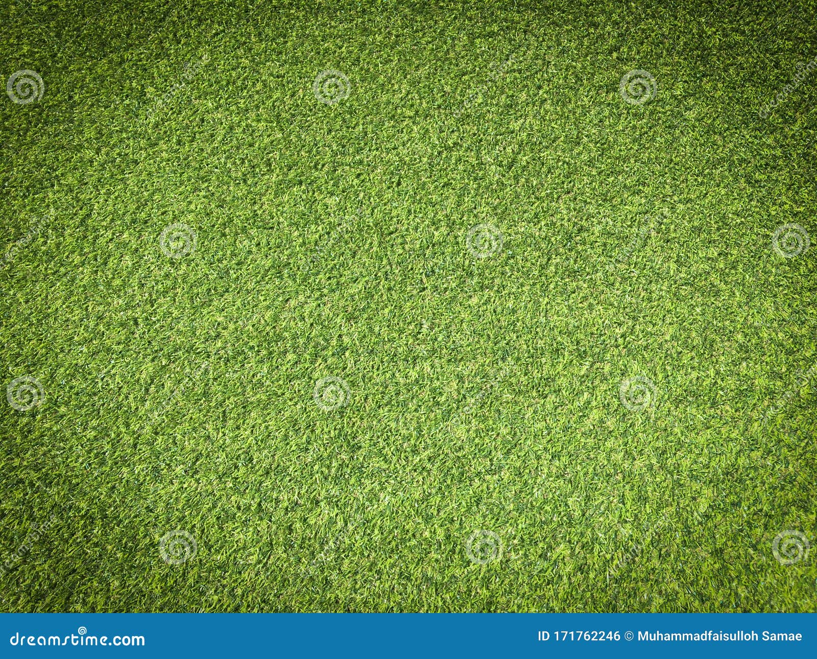 Beautiful Green Grass Pattern from Golf Course for Background. Copy ...
