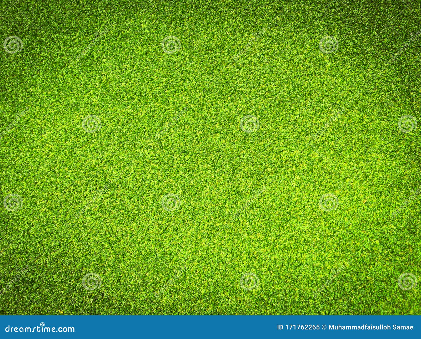 Beautiful Green Grass Pattern from Golf Course for Background. Copy ...