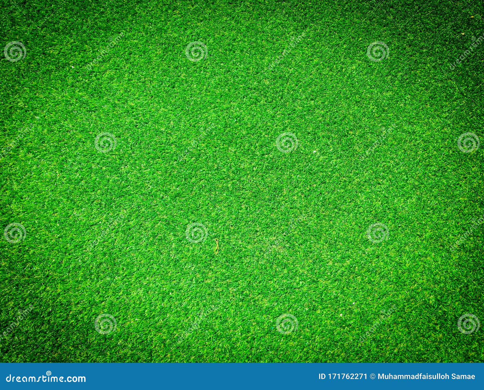 Beautiful Green Grass Pattern from Golf Course for Background. Copy ...