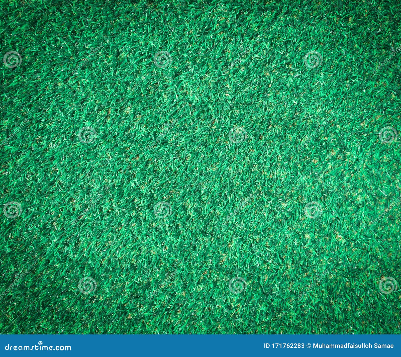 Beautiful Green Grass Pattern from Golf Course for Background. Copy ...