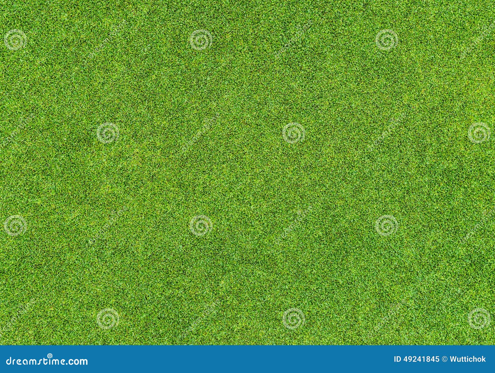 Beautiful Green Grass Pattern from Golf Course Stock Image - Image of ...