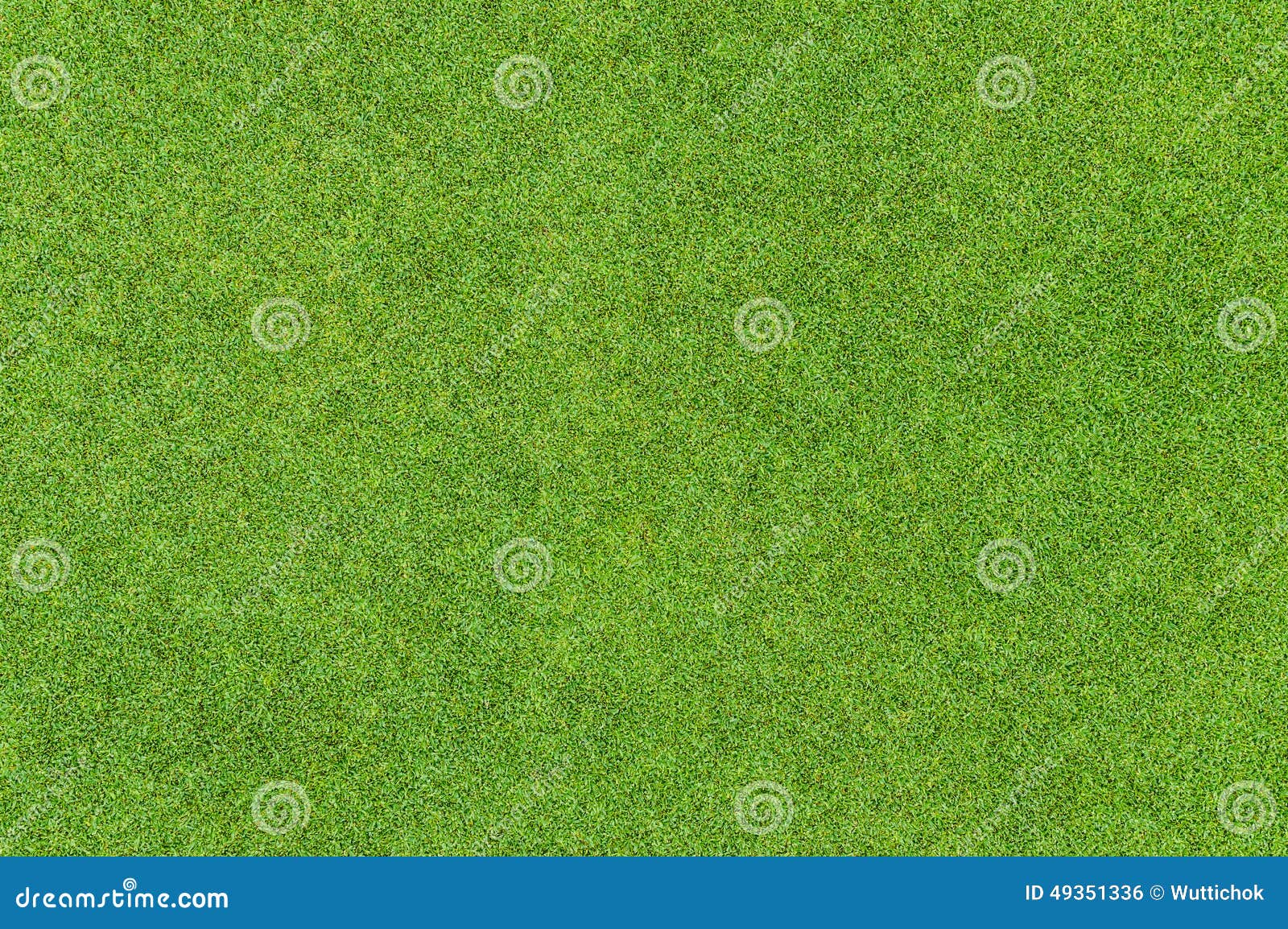 Beautiful Green Grass Pattern from Golf Course Stock Photo - Image of ...