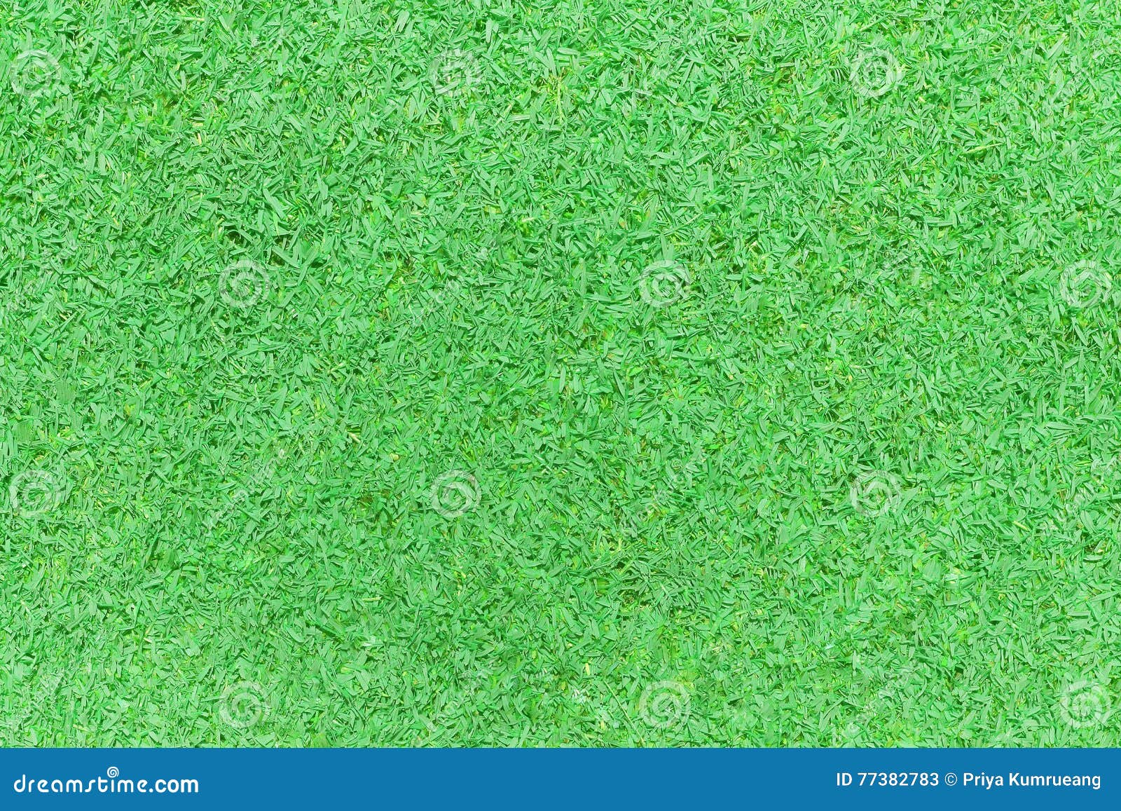 Beautiful Green Grass Texture Stock Image - Image of decorative, field ...