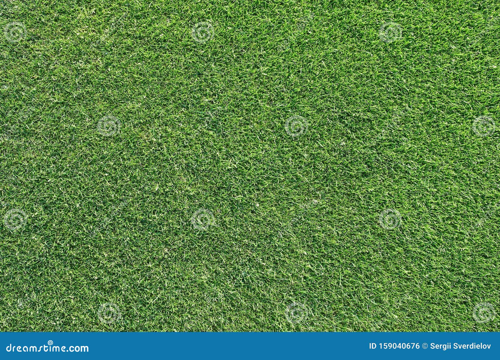Beautiful Green Grass Texture from Golf Course Stock Photo - Image of ...
