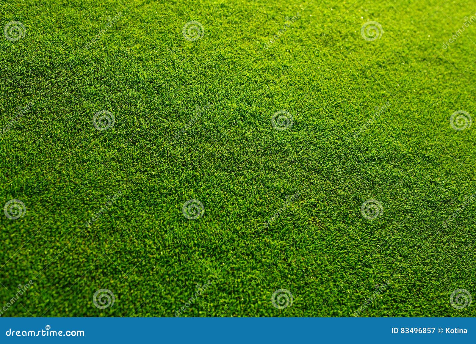 Beautiful Green Grass Texture from Golf Course Stock Image - Image of ...