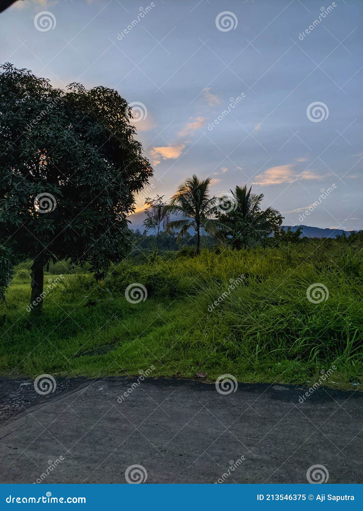 Beautiful and Green Hilly Views Stock Image - Image of mountain, green ...