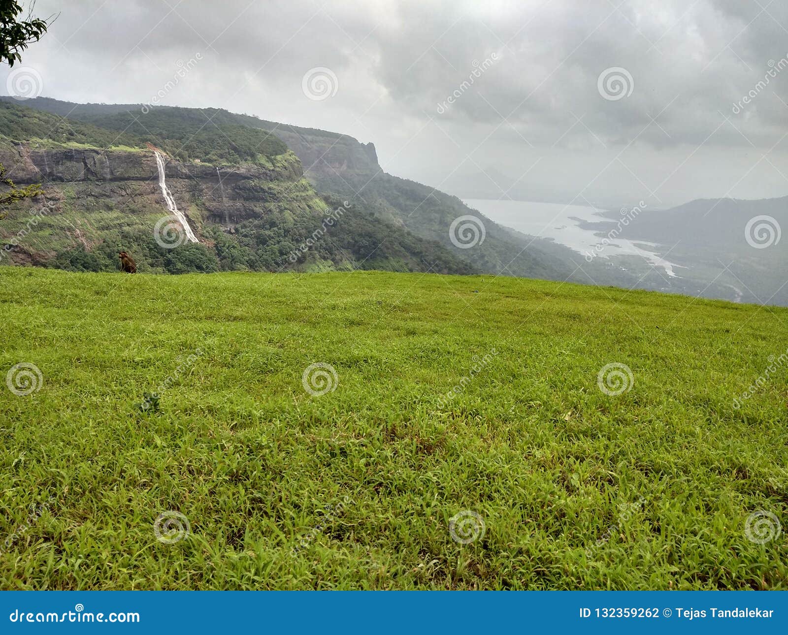 Beautiful Green land stock photo. Image of mixture, green - 132359262