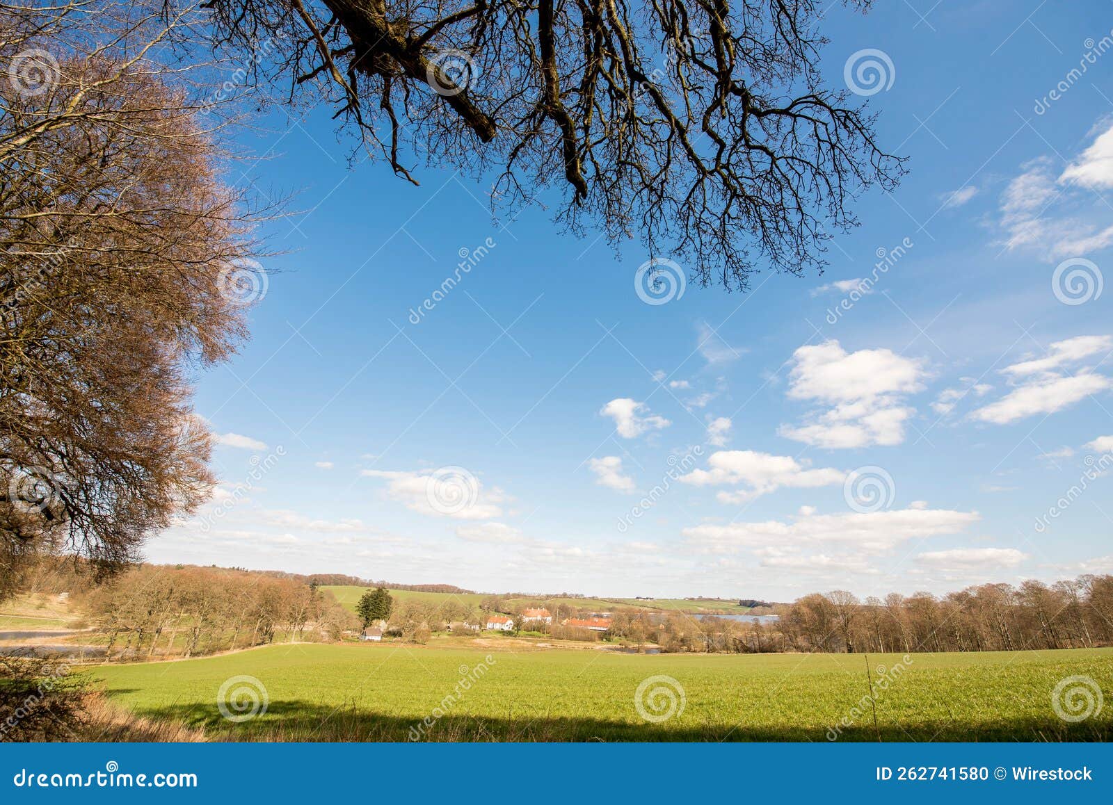 Beautiful Green Landscape of a Field with Weathered Trees Stock Photo ...