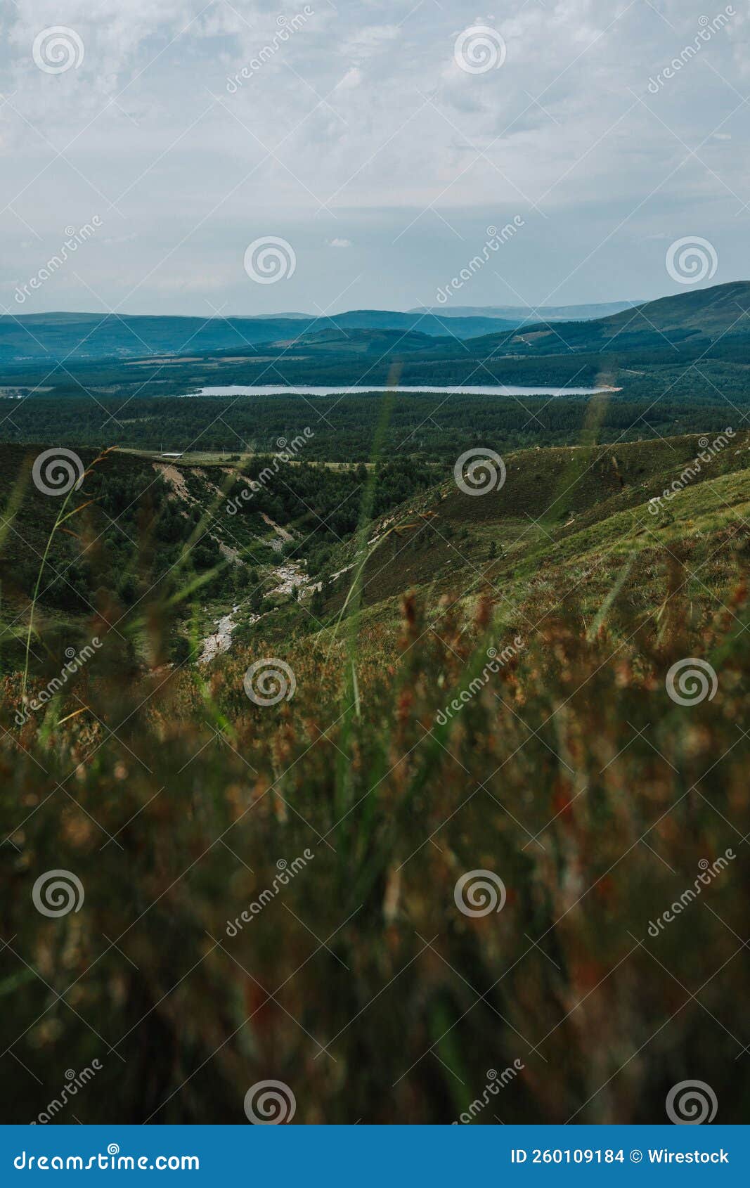 Beautiful Green Landscape of the Hillside with the Cloudy Sky, in a ...